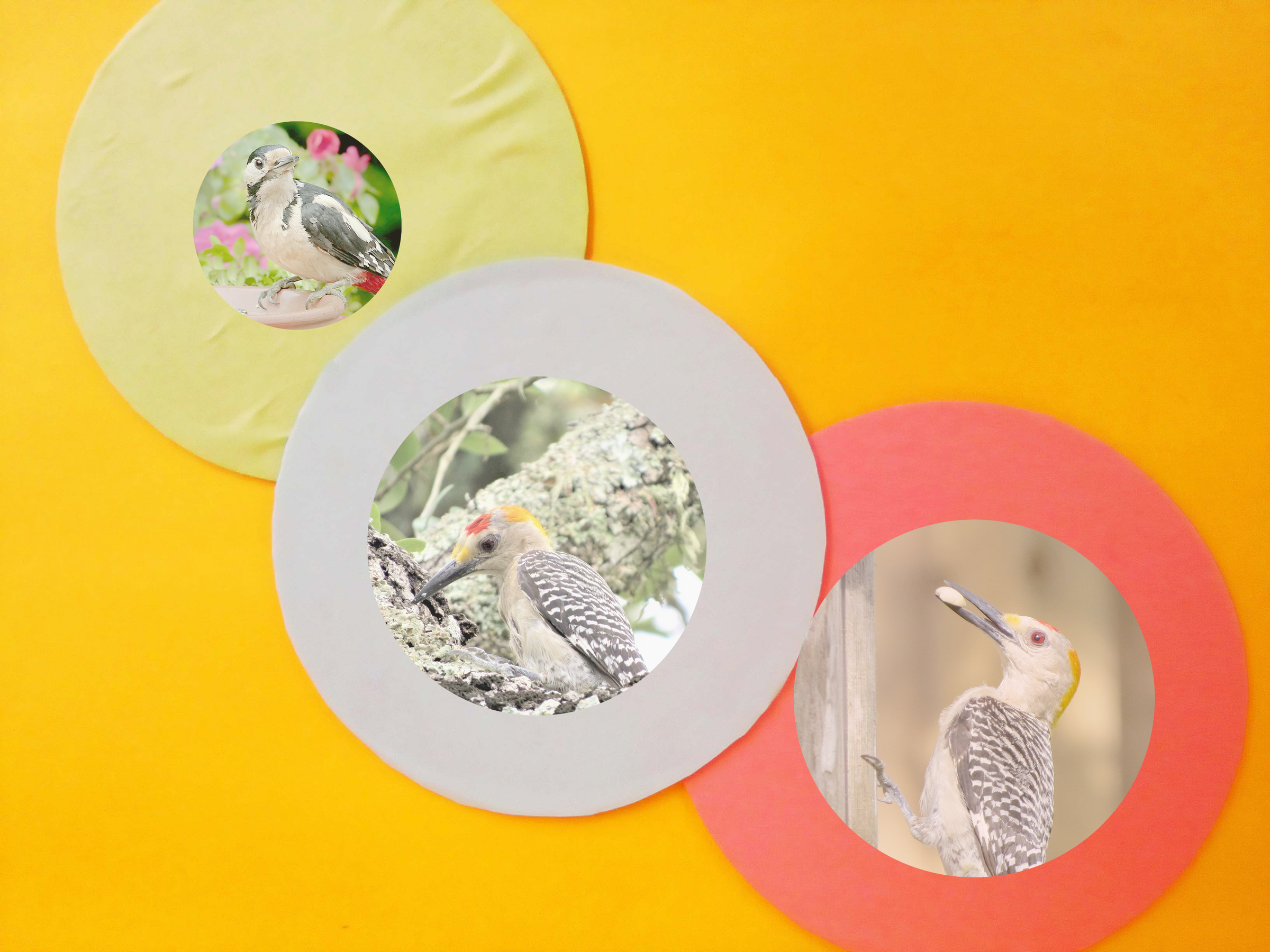 Turn Old CDs Into Photo Frame : 4 Steps - Instructables