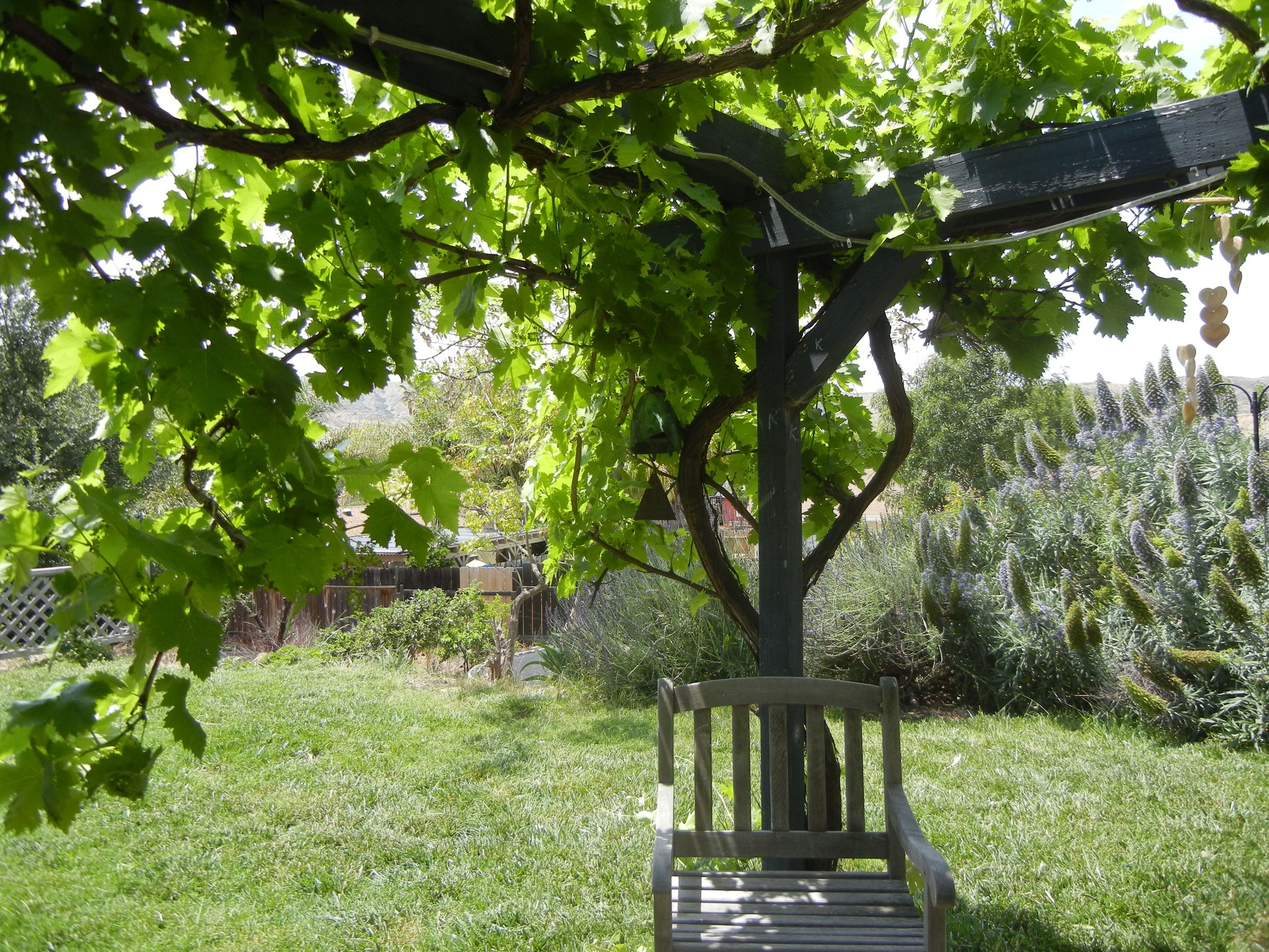 Grapevine Terrace - Instructables