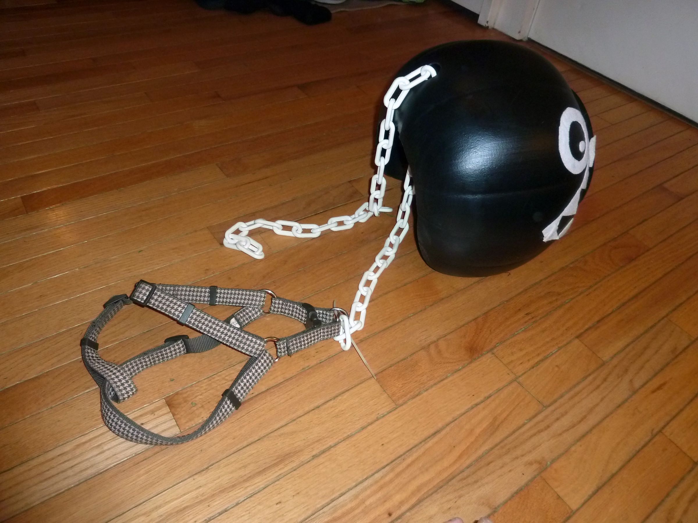 Mario Themed Costumes for Dogs and People : 3 Steps - Instructables