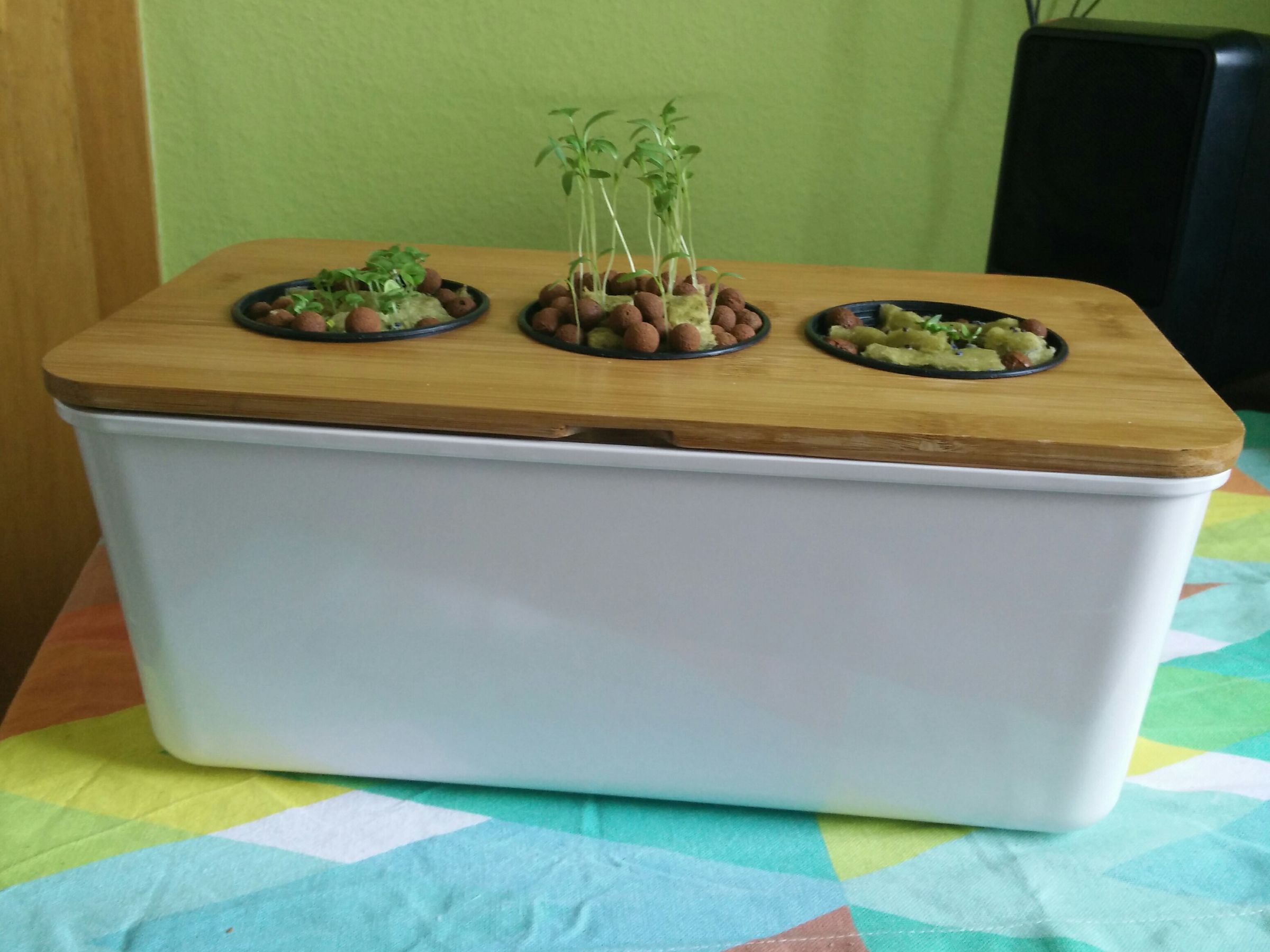 Windowsill Hydroponic Herb Garden : 5 Steps (with Pictures) - Instructables