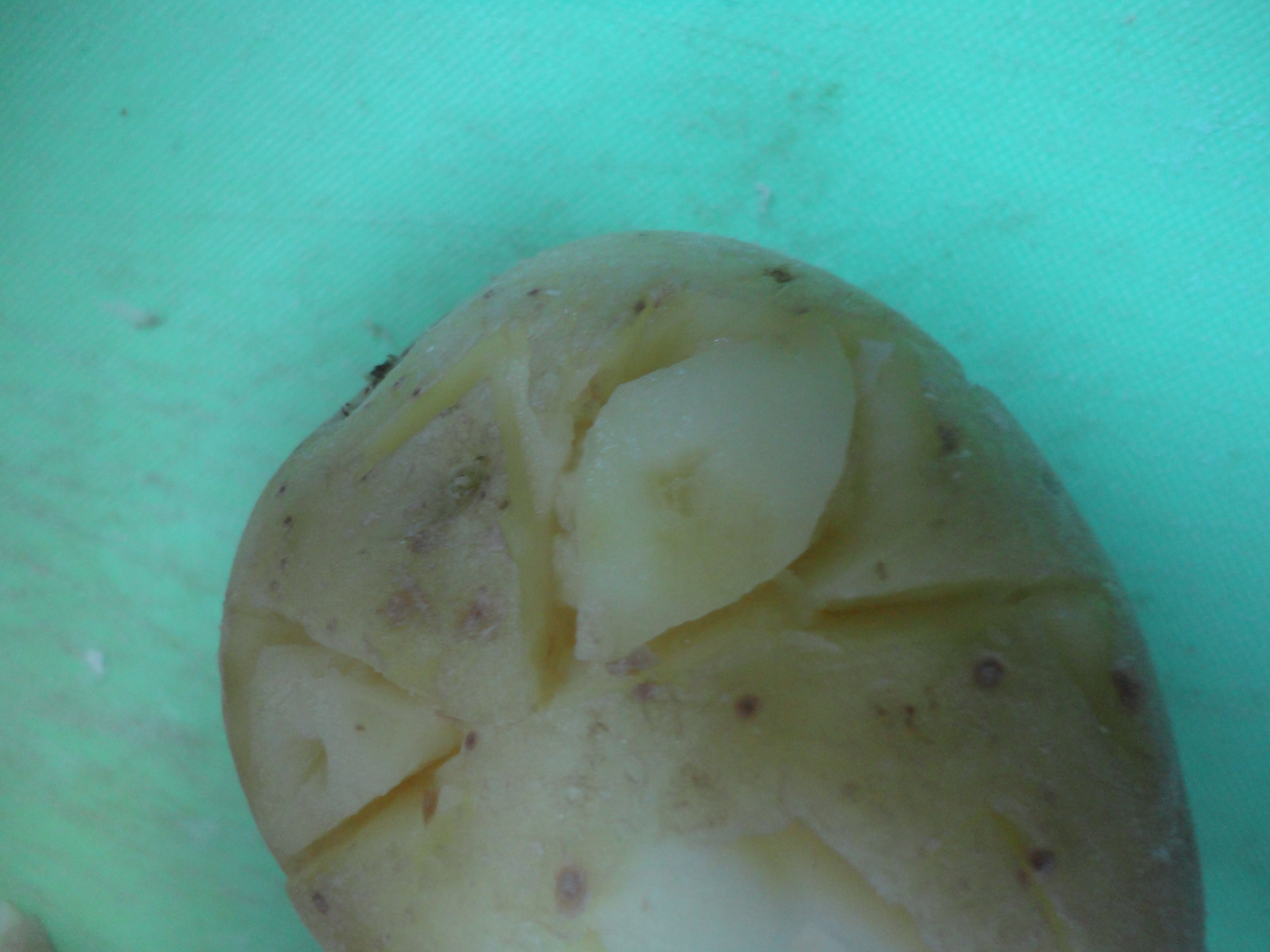 Mad Potato : 6 Steps - Instructables