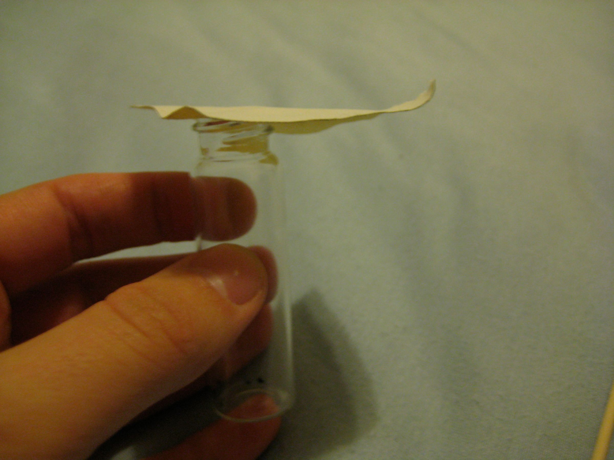 How to Catch Fleas : 7 Steps - Instructables