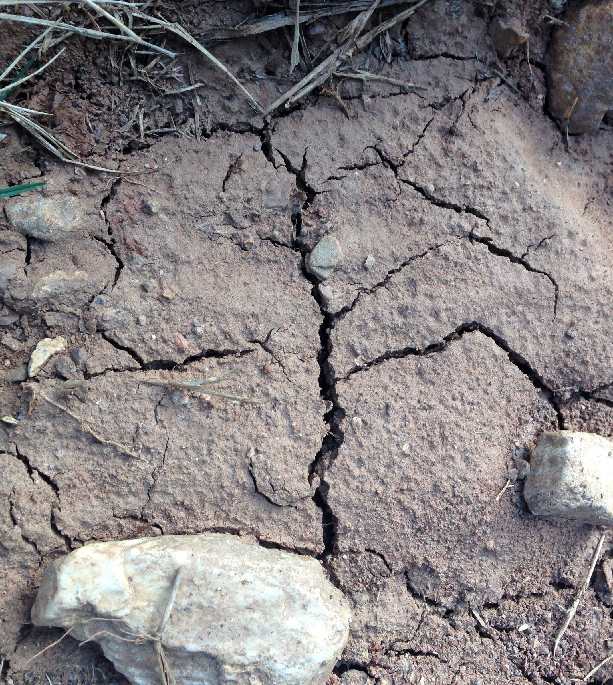 Harvesting Your Own Clay, Dirty But Delightful! : 22 Steps (with ...