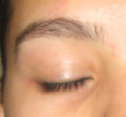 Arabic Eyebrows