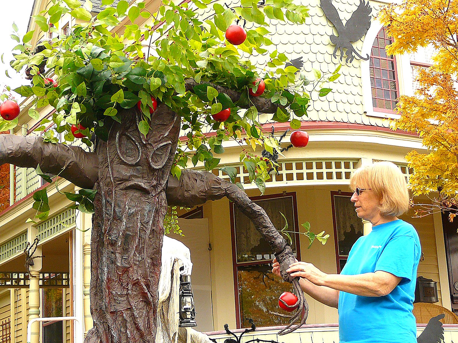 From Apple Tree to Whomping Willow : 6 Steps (with Pictures ...