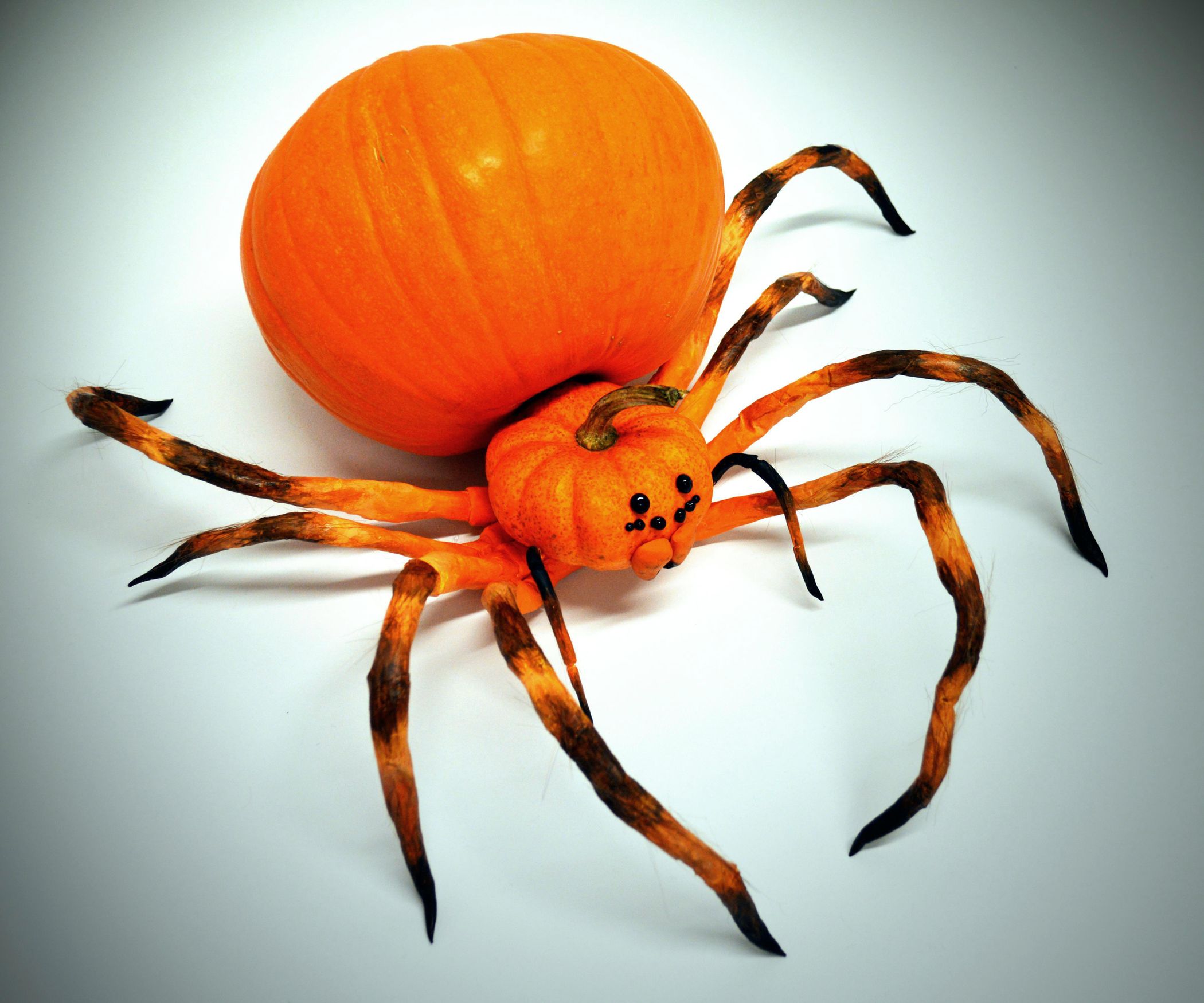 Spider Pumpkin - Jack O' Lantern : 16 Steps (with Pictures) - Instructables