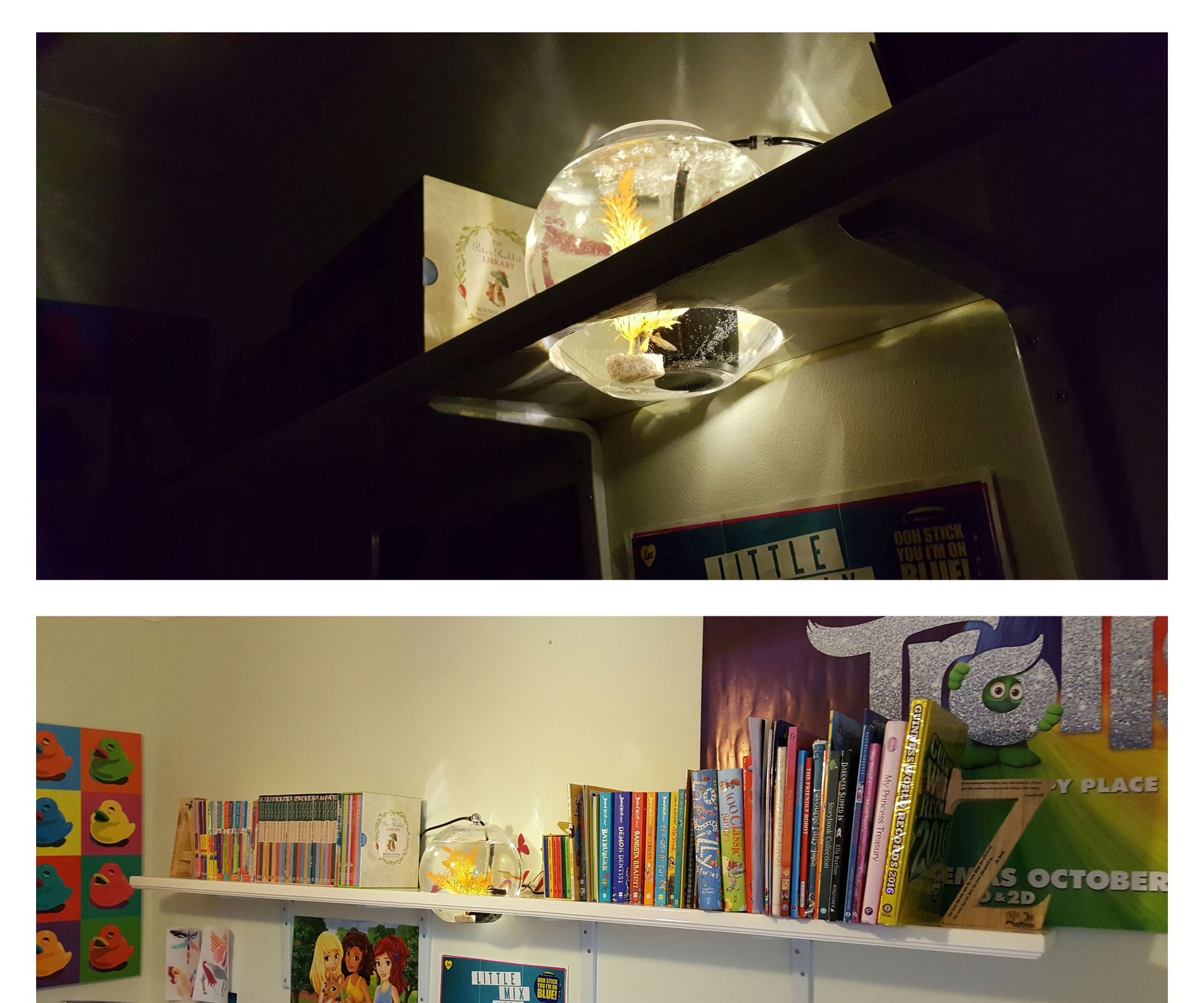 FiSHELF - the Fish Bowl Book Shelf : 7 Steps (with Pictures ...