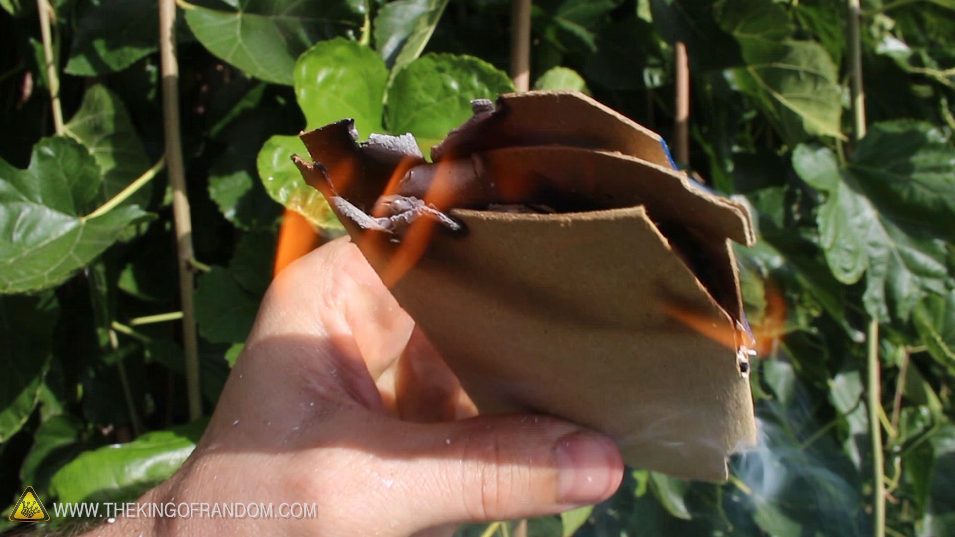 5 Ways to Start a Fire, Using Water : 7 Steps (with Pictures ...