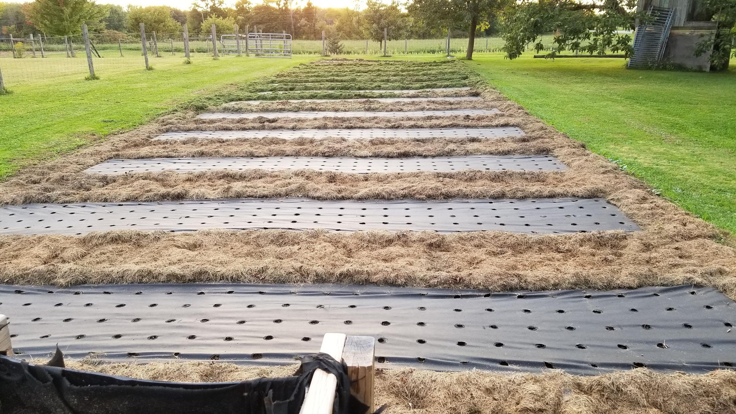 Garlic Gardening : 49 Steps (with Pictures) - Instructables