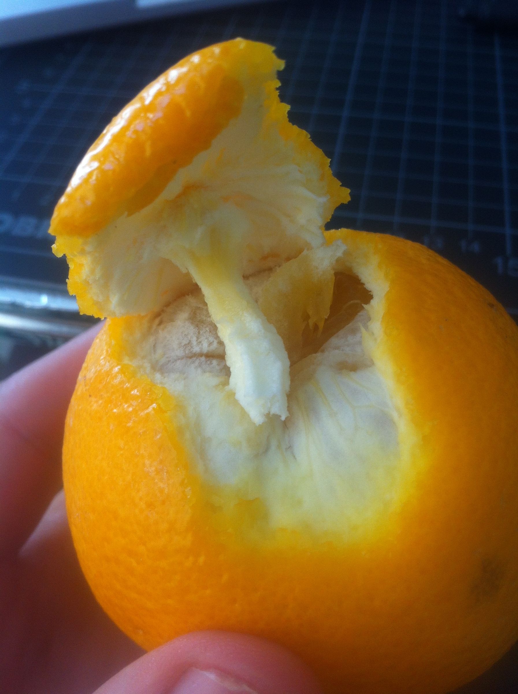 How to Peel an Orange : 3 Steps - Instructables
