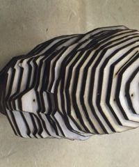 Laser Cut Skull : 7 Steps - Instructables