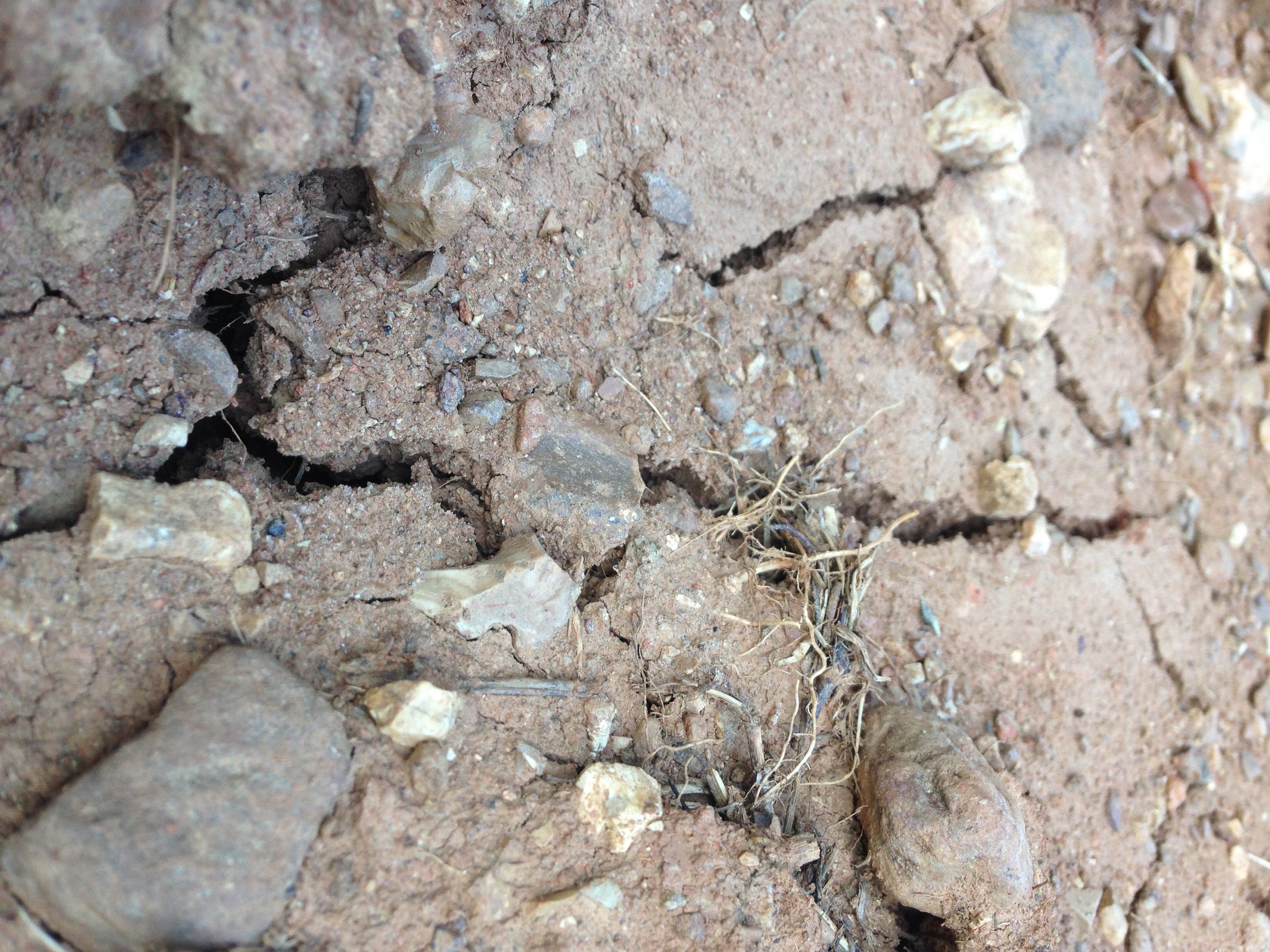 Harvesting Your Own Clay, Dirty But Delightful! : 22 Steps (with ...