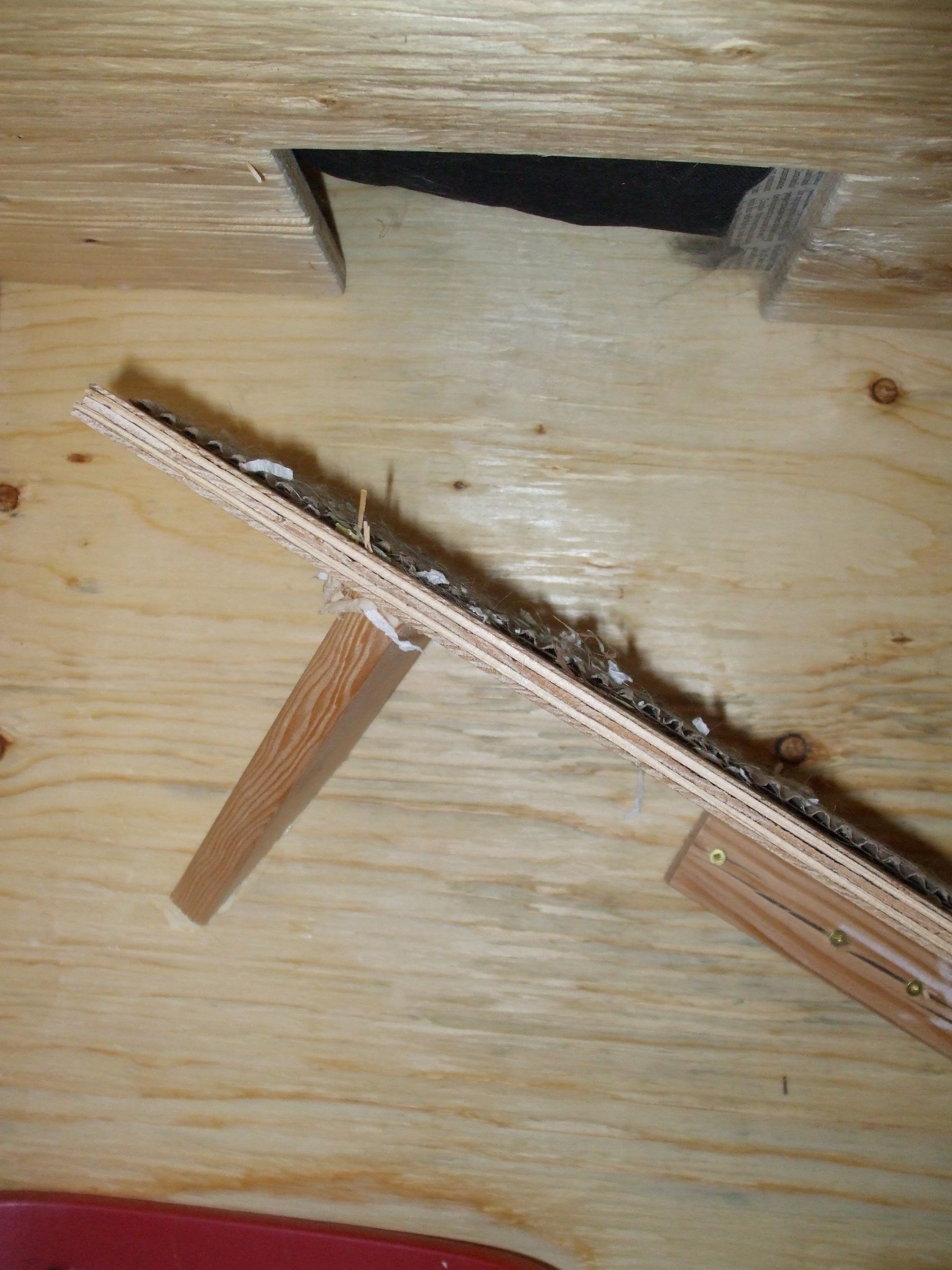 Build an Indoor Rabbit Cage : 9 Steps (with Pictures) - Instructables
