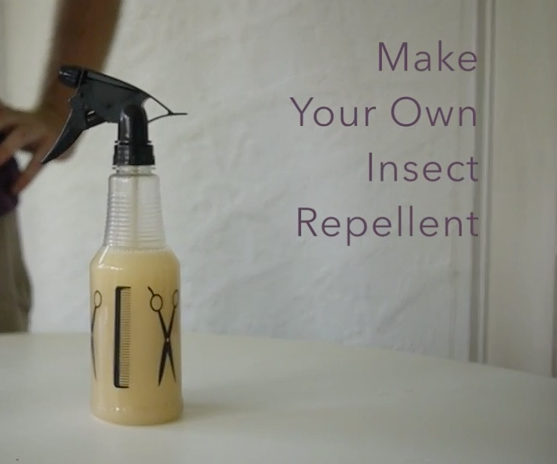 DIY Insect Repellent!! : 4 Steps (with Pictures) - Instructables