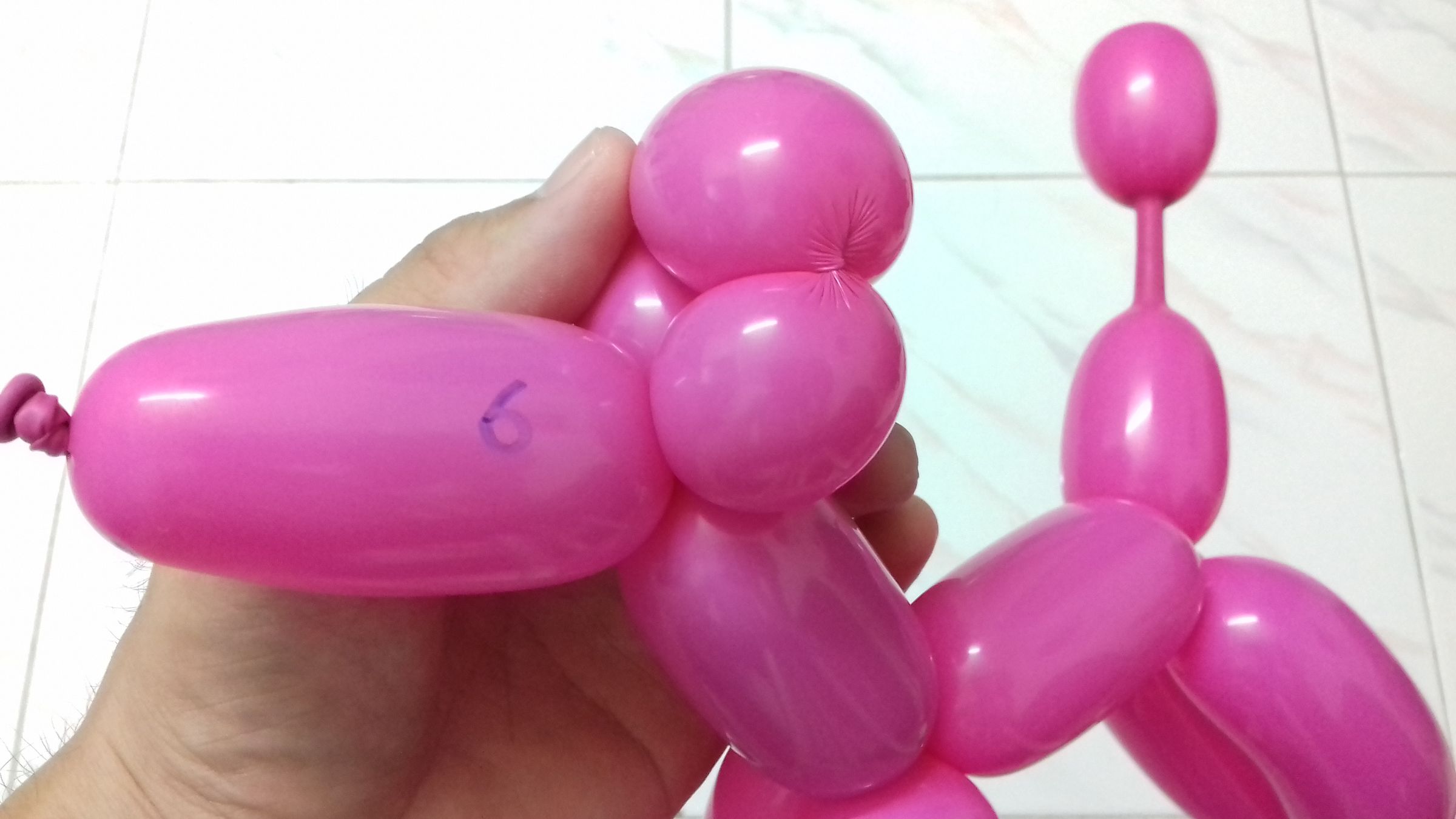 Balloon Twisting - Poodle : 6 Steps (with Pictures) - Instructables