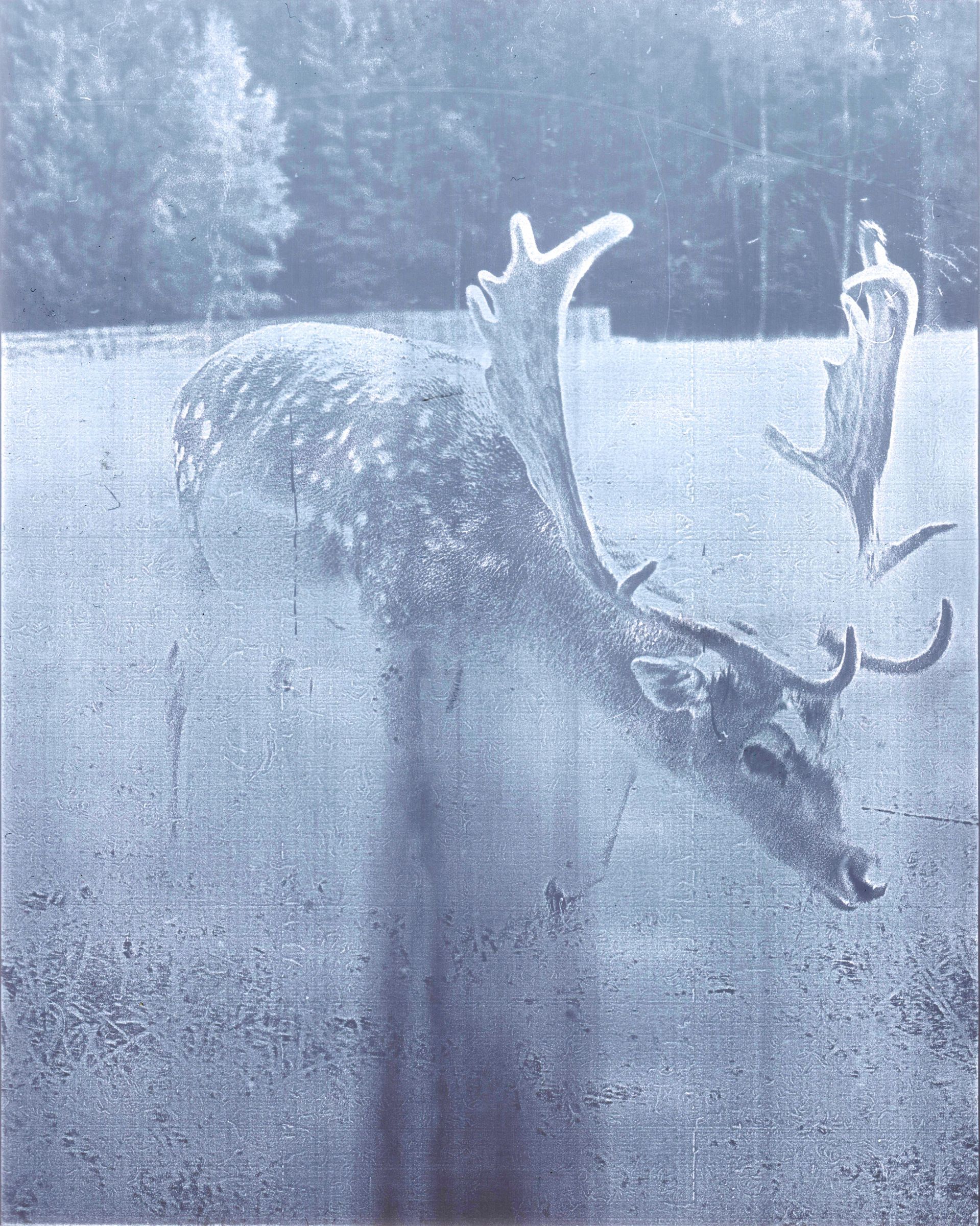 Lumen Printing in the Dark : 5 Steps (with Pictures) - Instructables