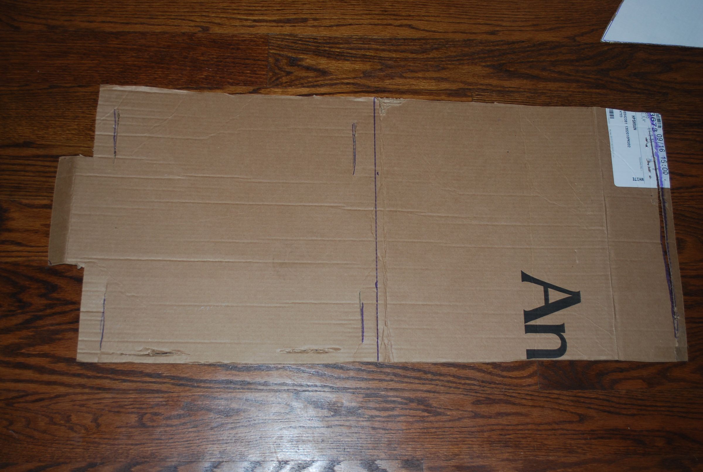 Fun to Make! Fun to Wear! 100% Eco-Friendly Angelfish Costume : 7 Steps ...