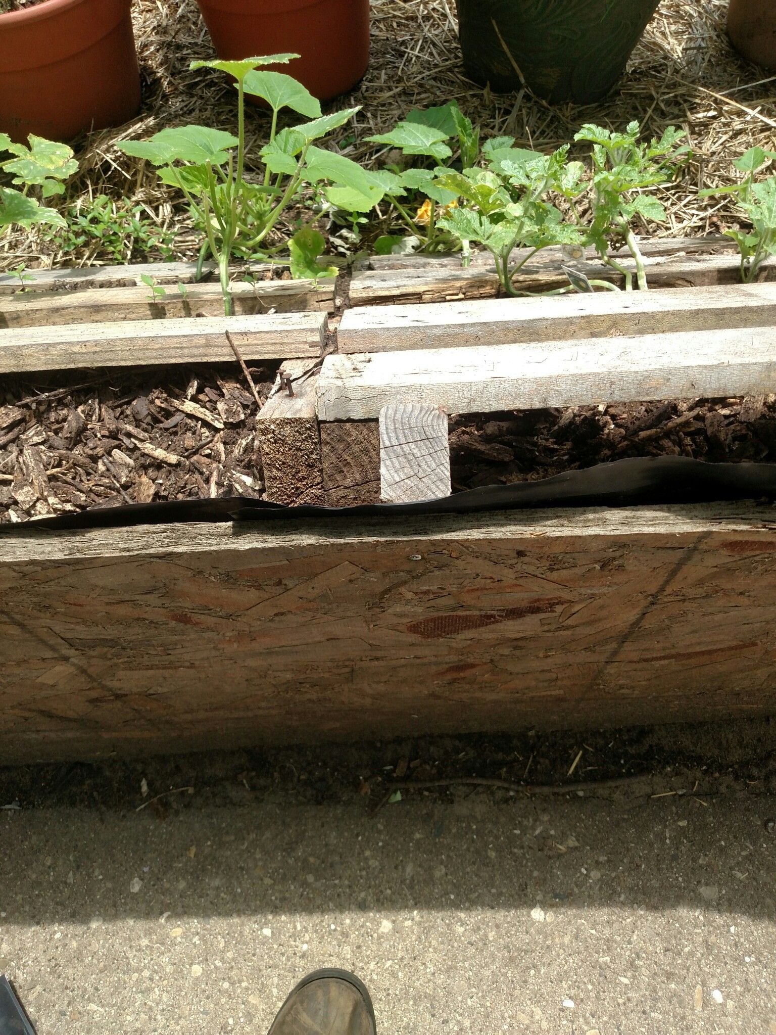 Outdoor Pallet Garden : 10 Steps (with Pictures) - Instructables