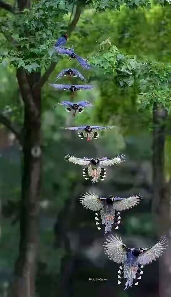 Motion Triggered DSLR Remote System : 16 Steps (with Pictures ...