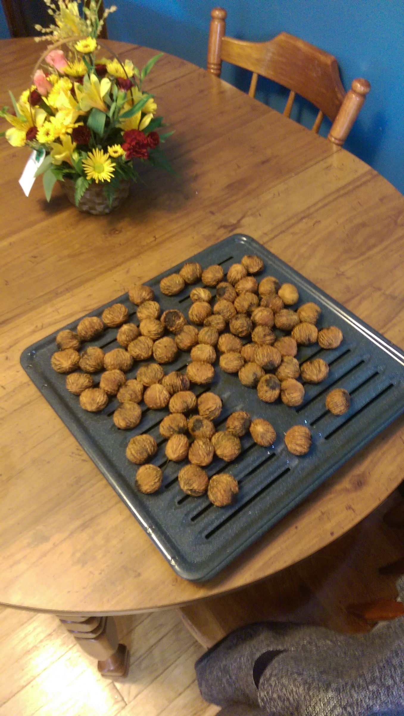 Forage and Process Your Own Black Walnuts! : 6 Steps (with Pictures ...