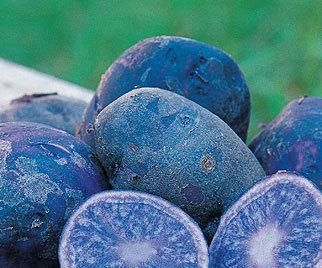How to Make Blue Mashed Potatoes : 5 Steps - Instructables