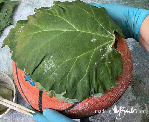 Cement Leaf Casting : 8 Steps (with Pictures) - Instructables