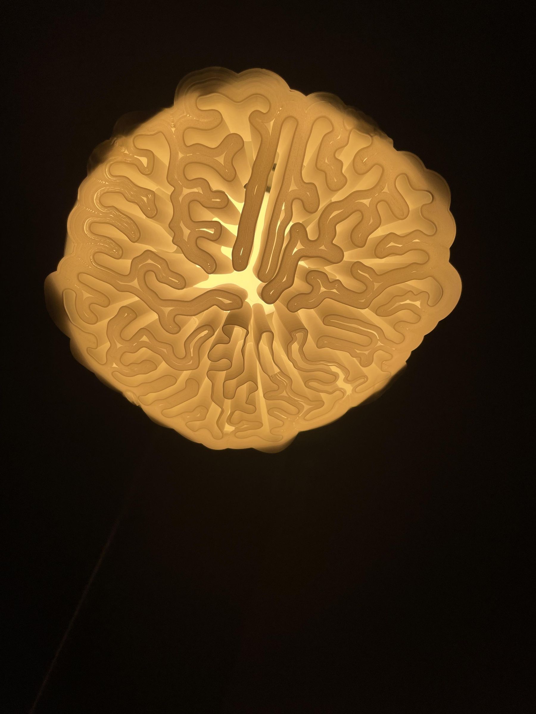 3D Printed Lamp Shade - Differential Growth Design in Grasshopper : 5 ...