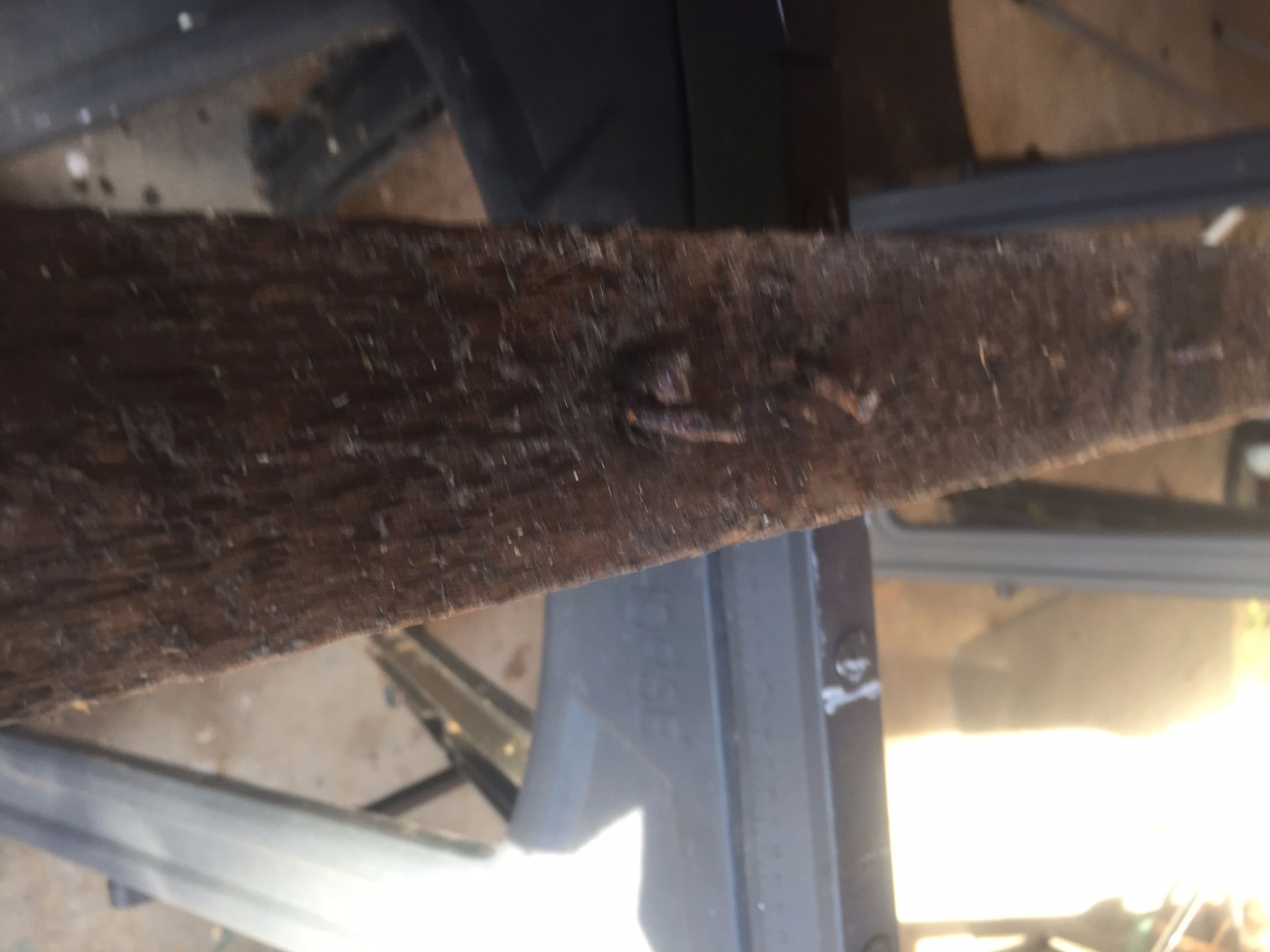 Our Reclaimed TreeHouse : 9 Steps (with Pictures) - Instructables