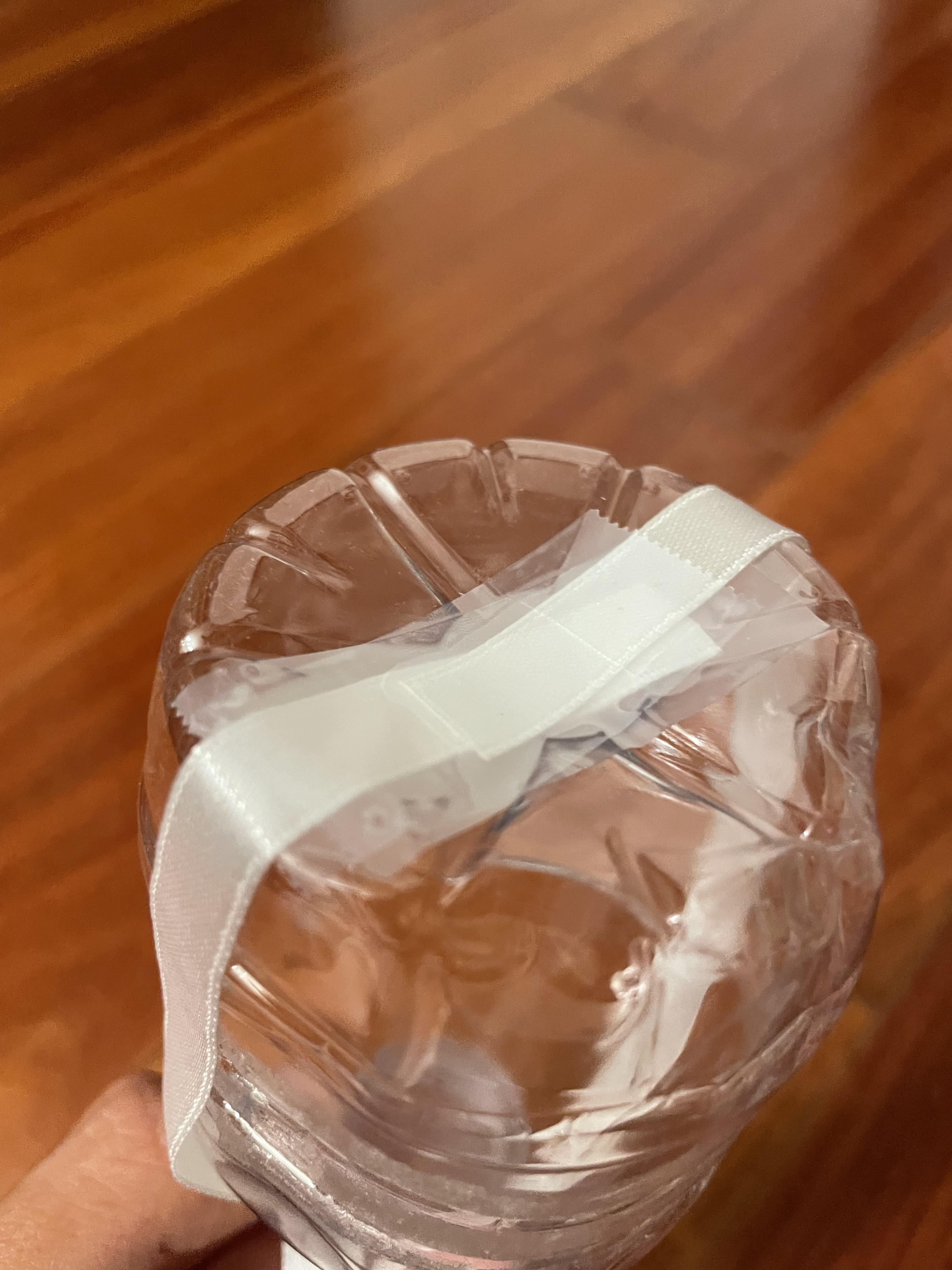 Water Bottle Christmas Ornament : 13 Steps - Instructables