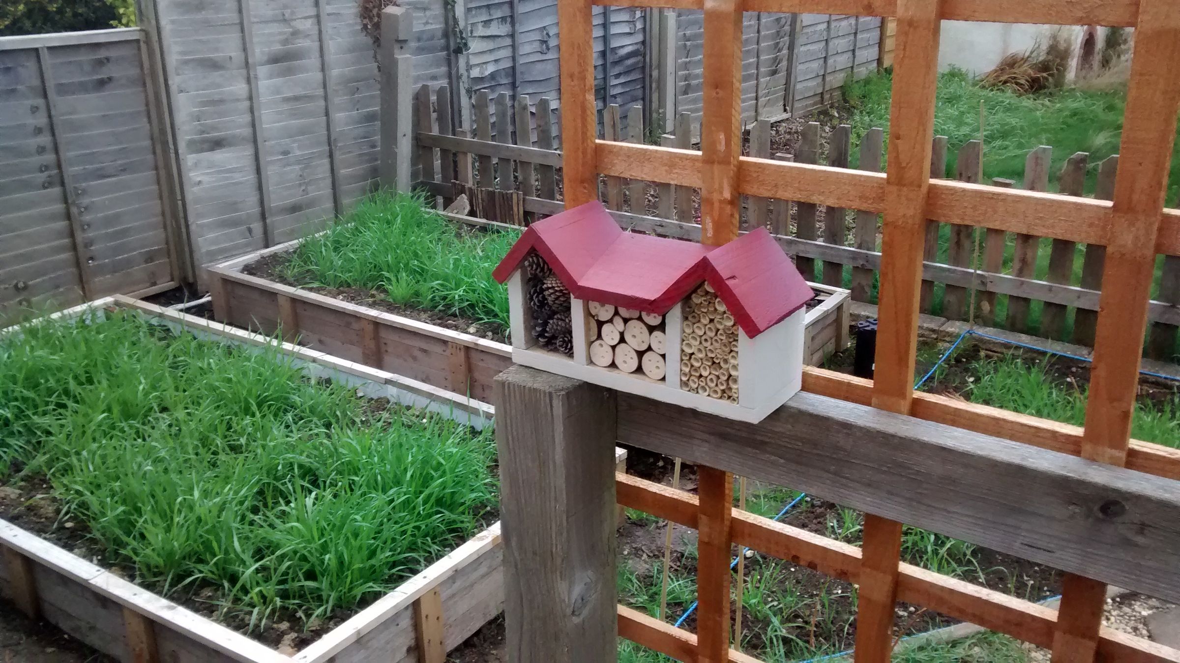 Insect/Bee House : 9 Steps (with Pictures) - Instructables