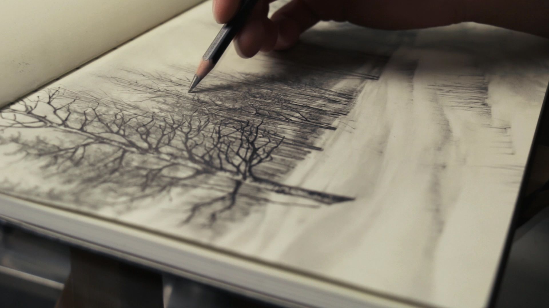Drawing a Landscape With Pencil // Timelaps Art Video : 5 Steps (with ...