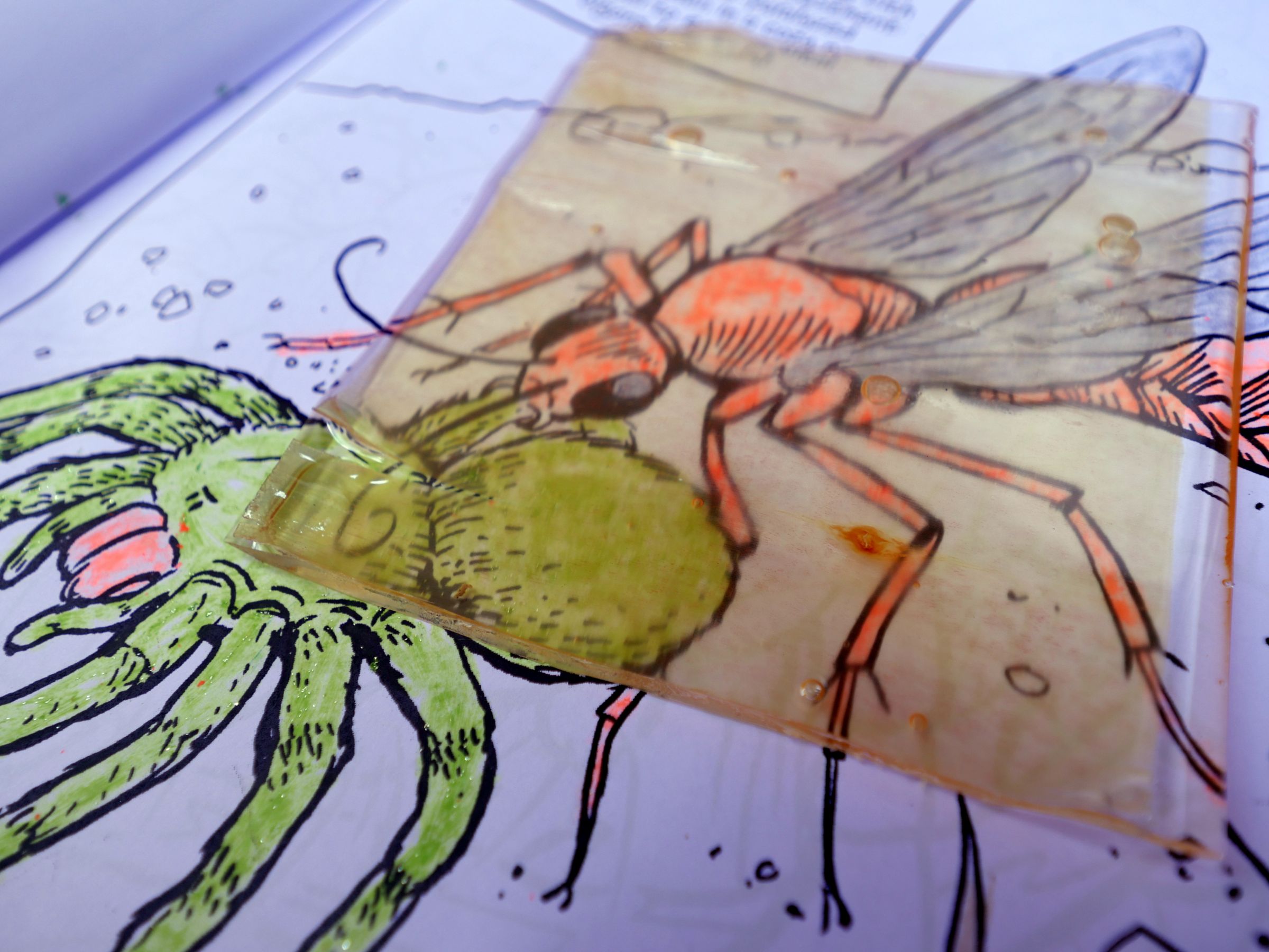 Transparent Wood : 10 Steps (with Pictures) - Instructables