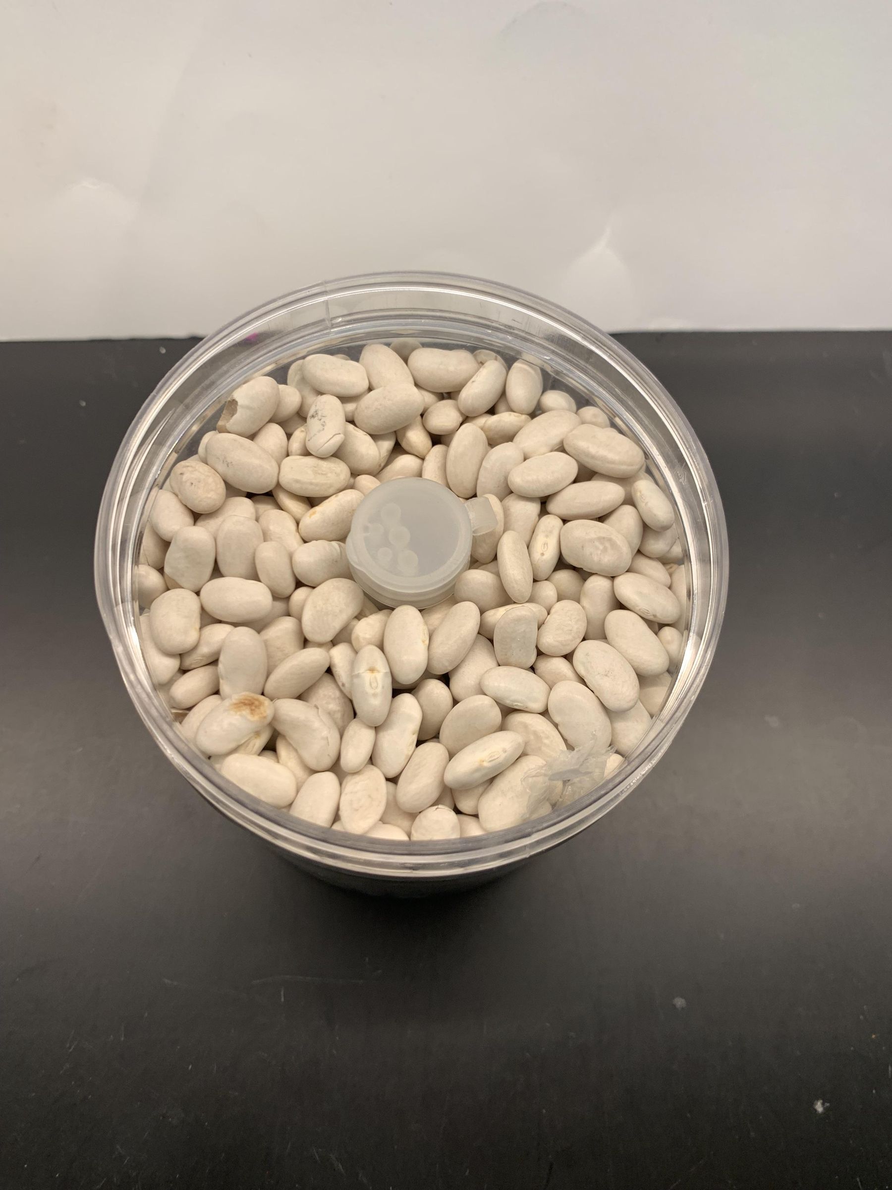 Hidden Bean Safe! : 3 Steps - Instructables