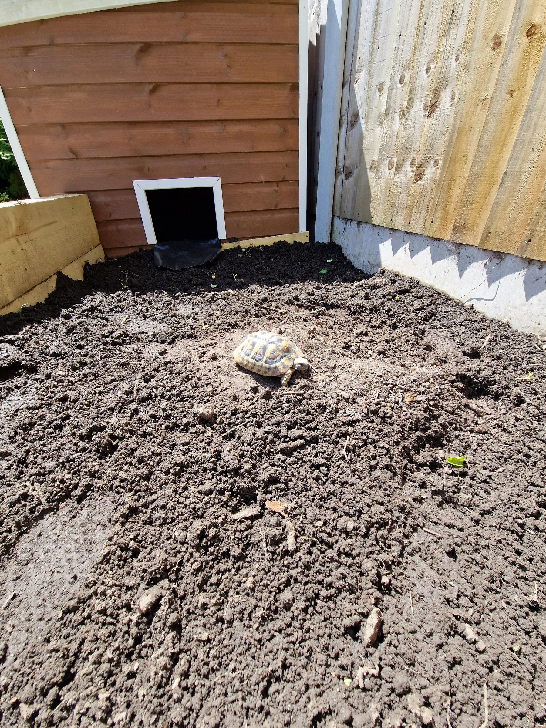 Outdoor Tortoise Enclosure and House : 12 Steps (with Pictures) - Instructables