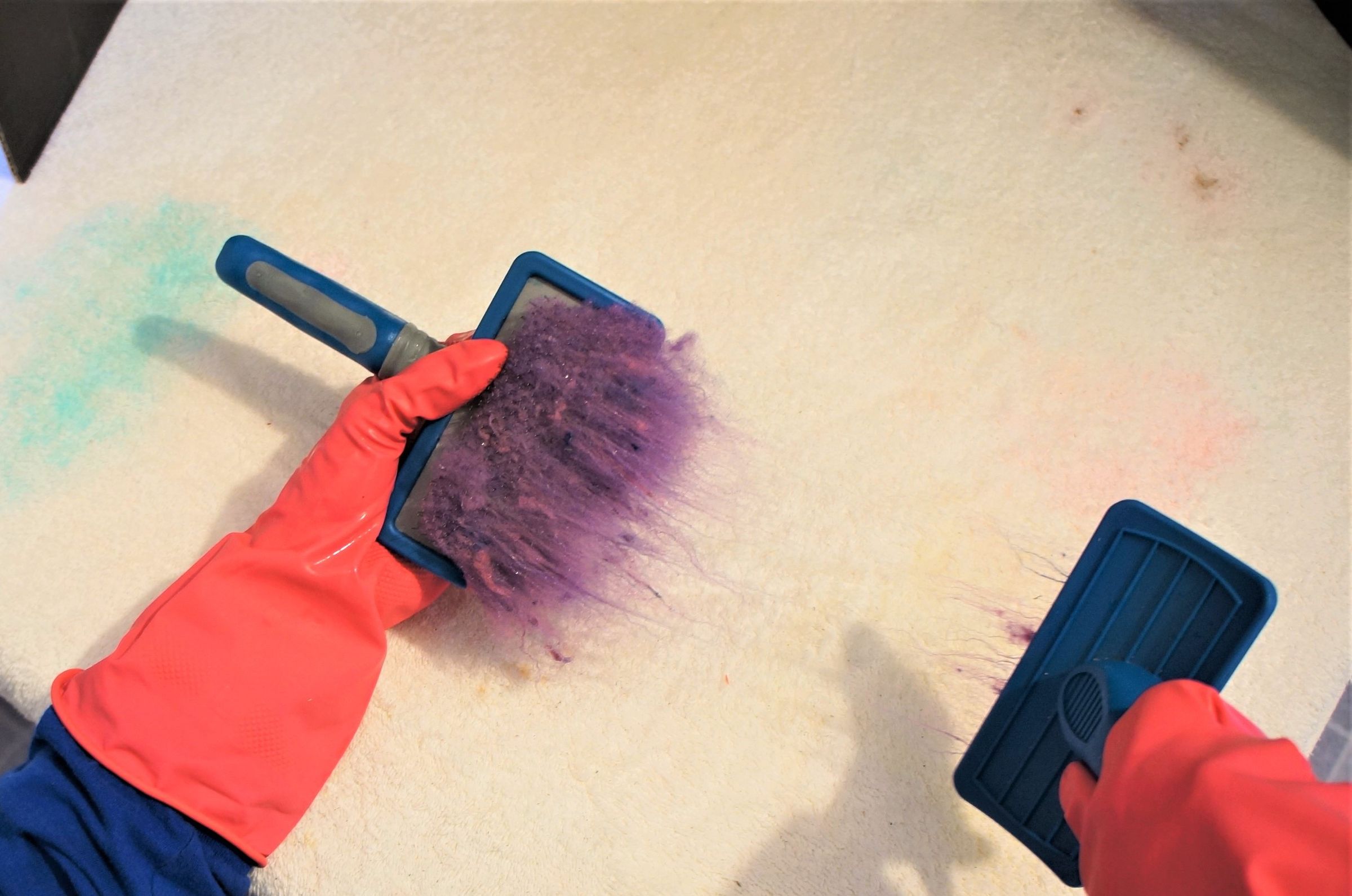 How to Process Card and Dye Raw Wool : 12 Steps (with Pictures ...