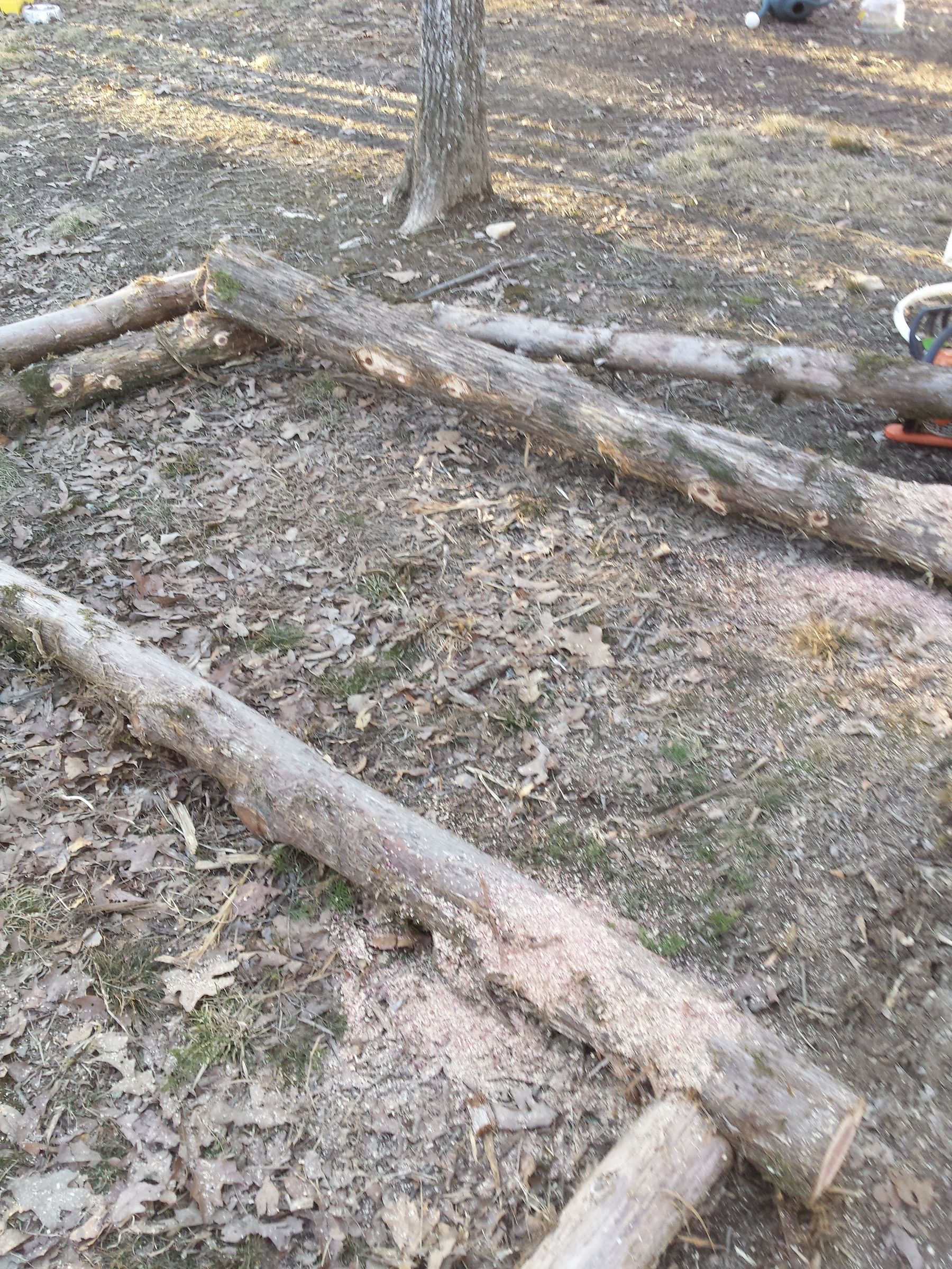 Green Powered Seed Germination Bed : 8 Steps - Instructables