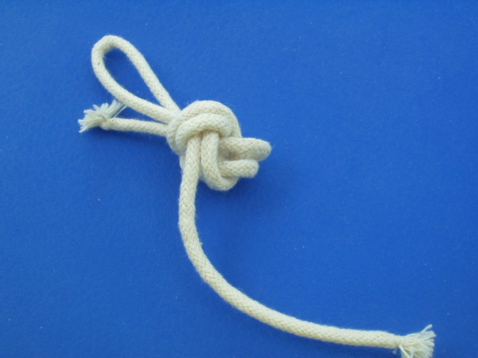 Two Strand Manrope Knot : 7 Steps - Instructables