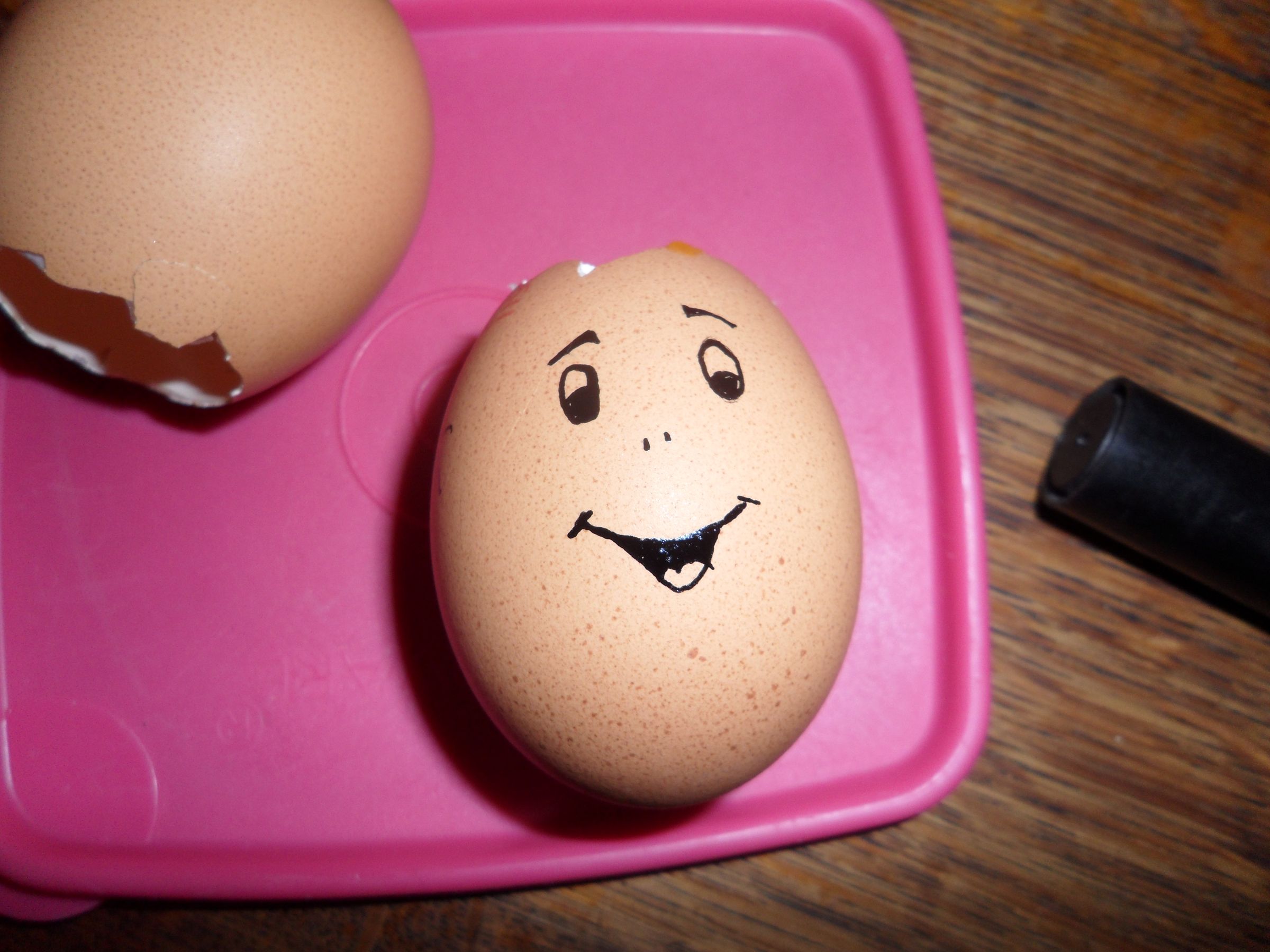 Egg Baby Project Faces
