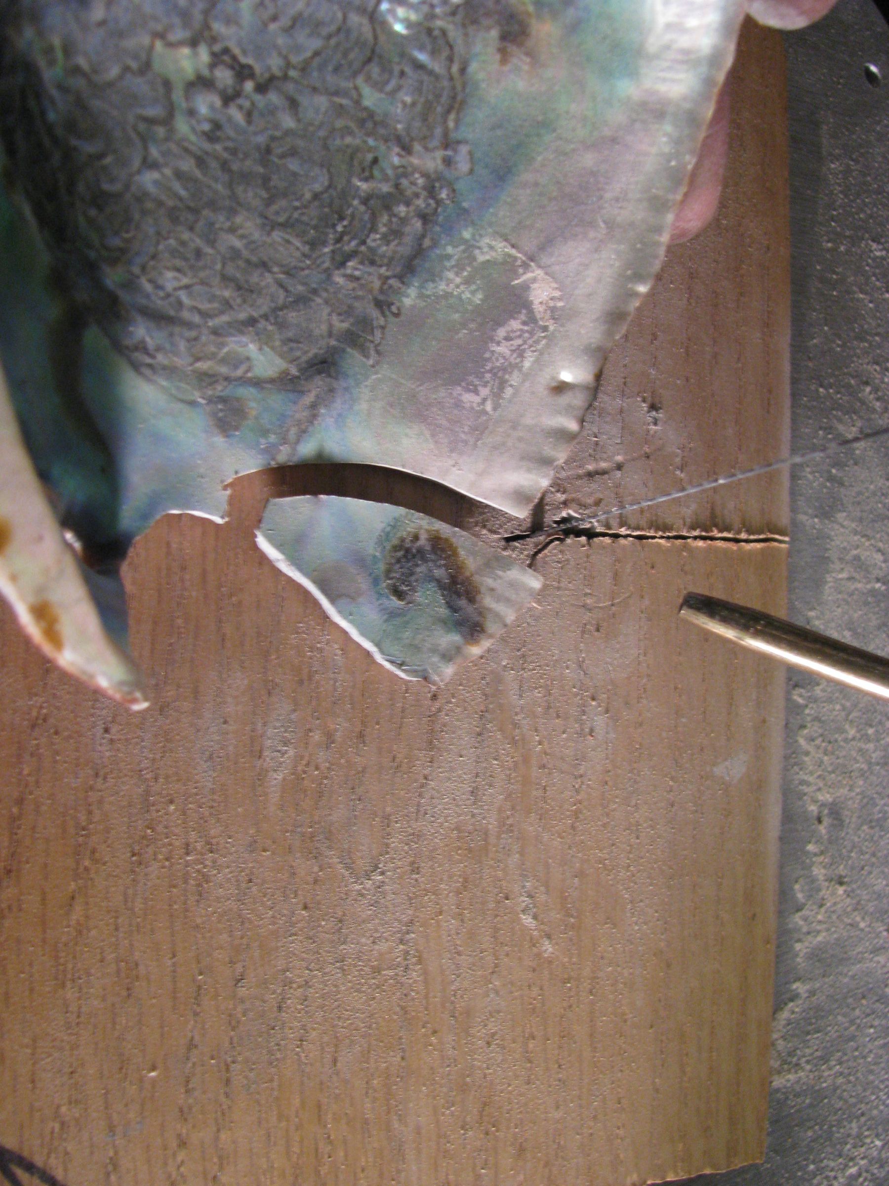 How to Polish Sea Shell : 4 Steps - Instructables