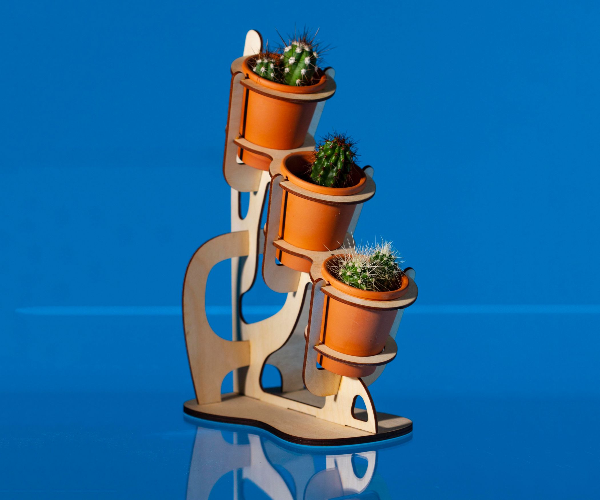 Laser Cut Cactus Planter : 6 Steps (with Pictures) - Instructables