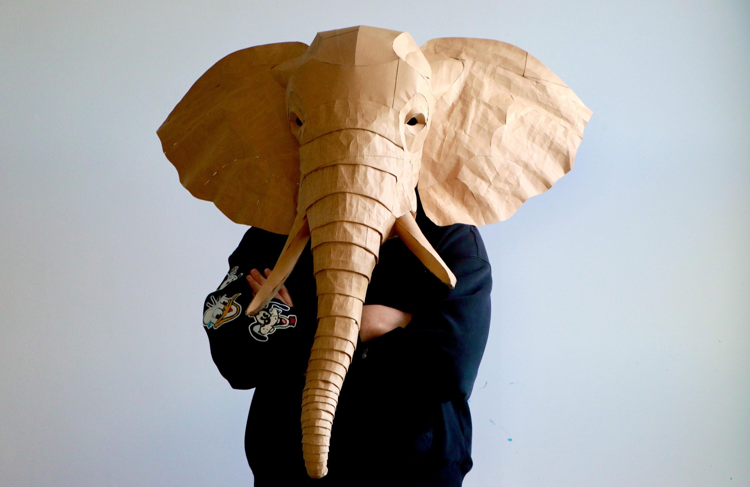 Easy DIY Elephant Mask and Wall Head – Just Crumple and Glue! : 9 Steps ...