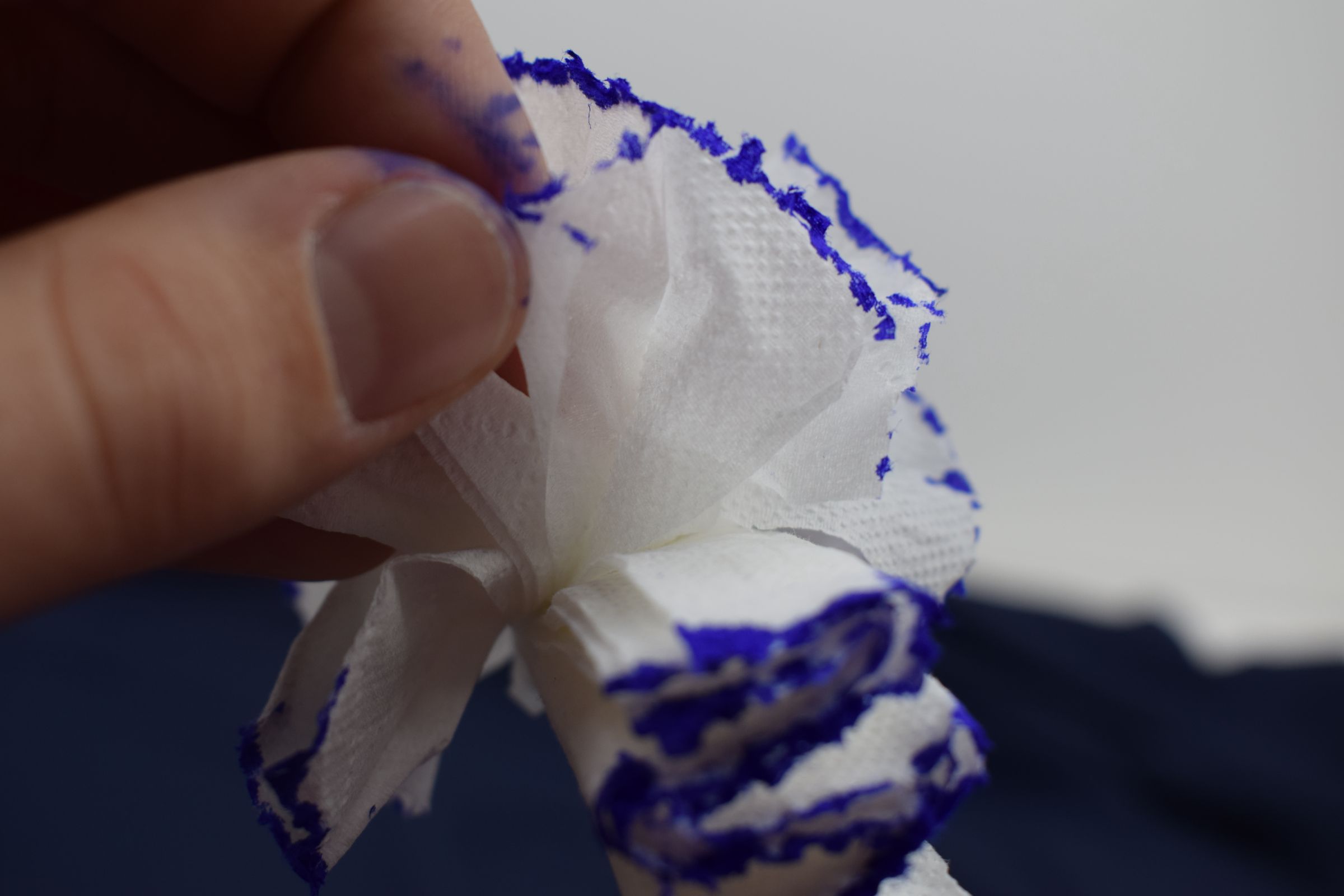 How to Make Simple, Elegant CARNATION Flowers. : 12 Steps (with ...