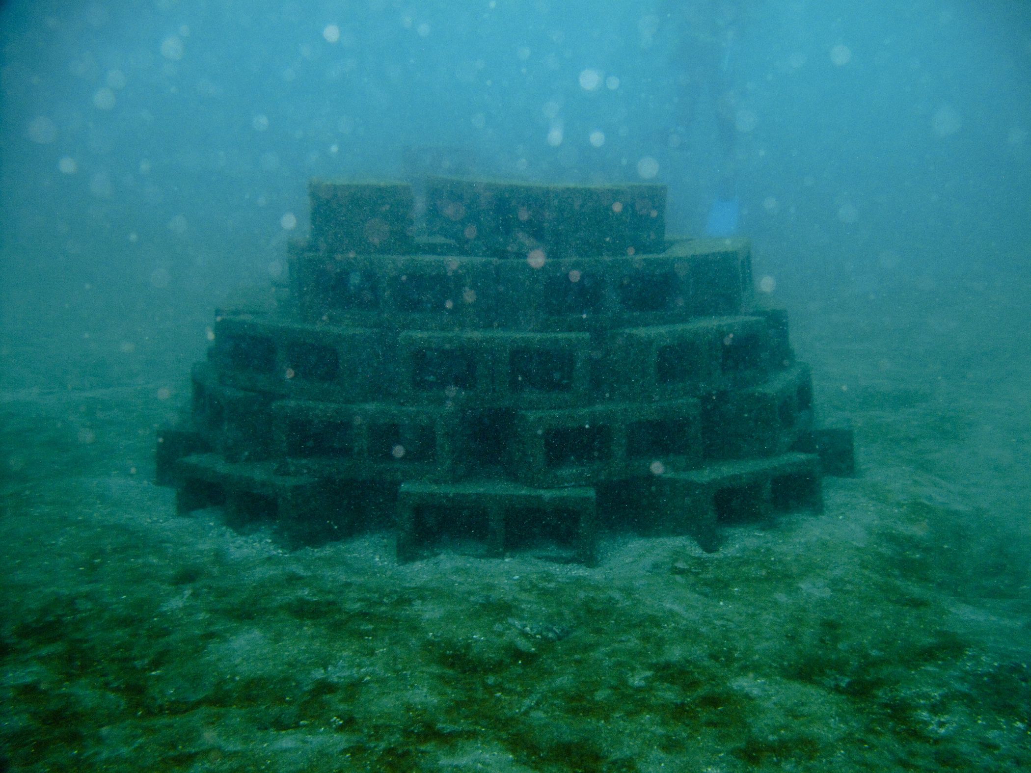 Build an Artificial Reef : 8 Steps (with Pictures) - Instructables