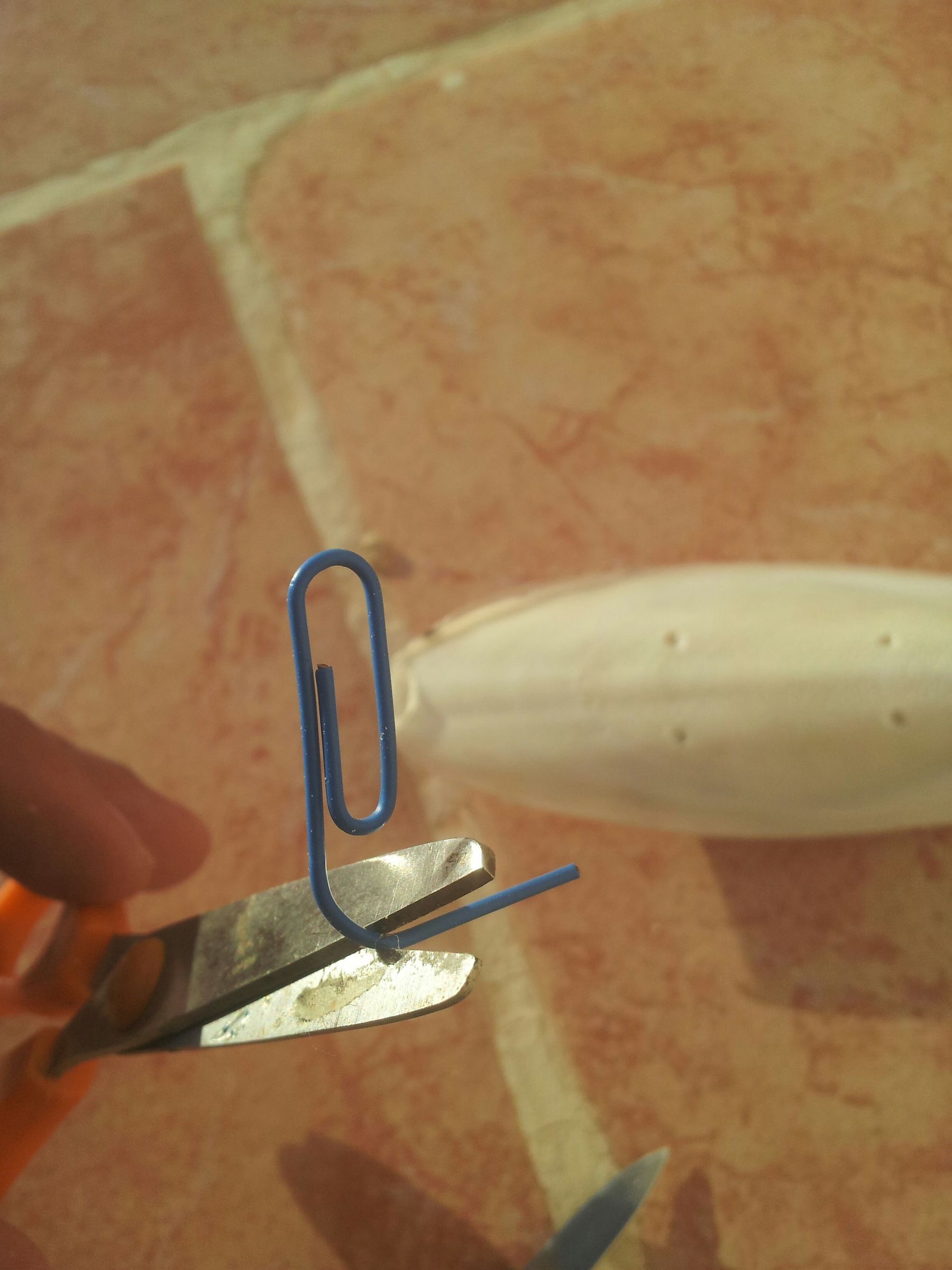Zip Tie Cuttlebone Holder for Birds : 6 Steps - Instructables