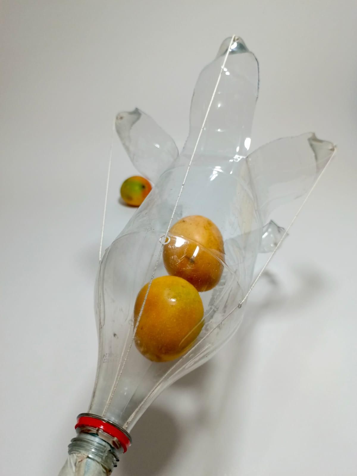 Homemade Fruit Picker : 14 Steps (with Pictures) - Instructables
