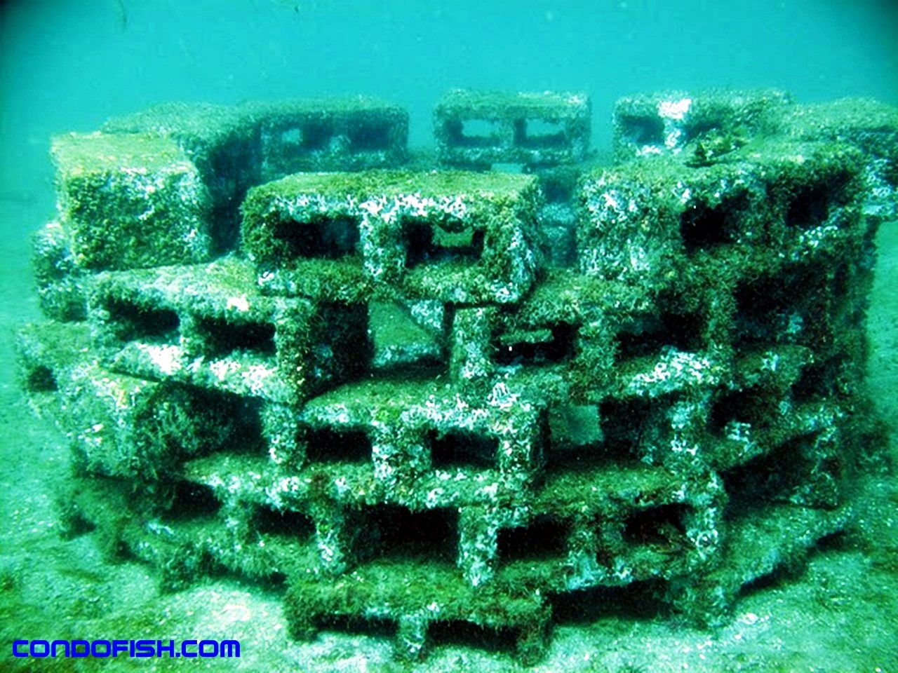 Build an Artificial Reef : 8 Steps (with Pictures) - Instructables
