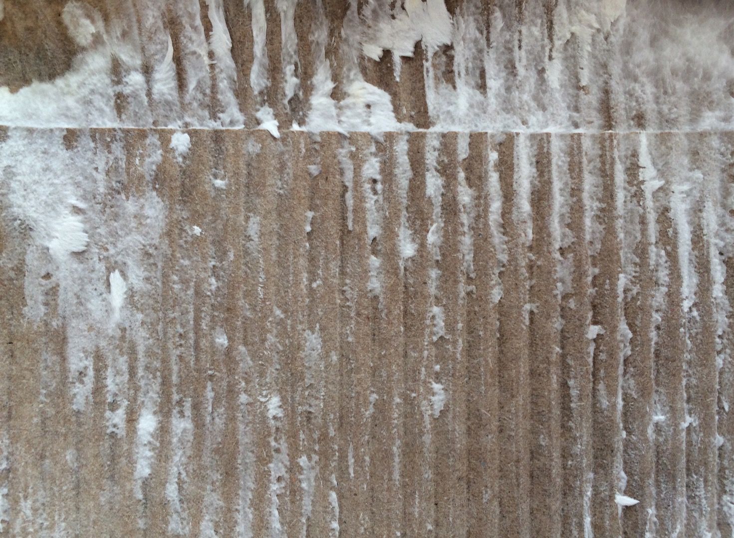 Making Mycelium : 5 Steps (with Pictures) - Instructables