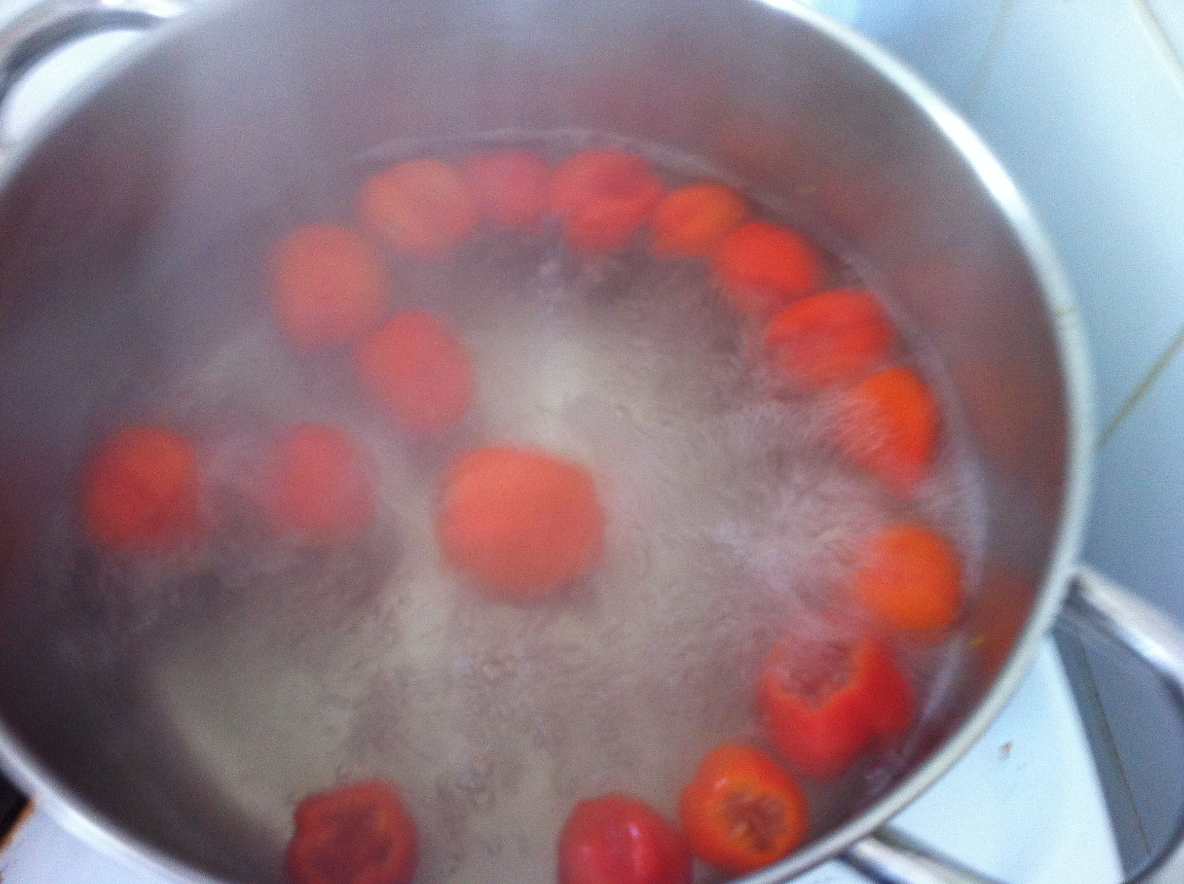 Sweet Pepperdew Peppers : 5 Steps - Instructables