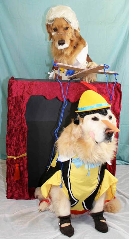 GePETto and His PUPnocchio - Instructables