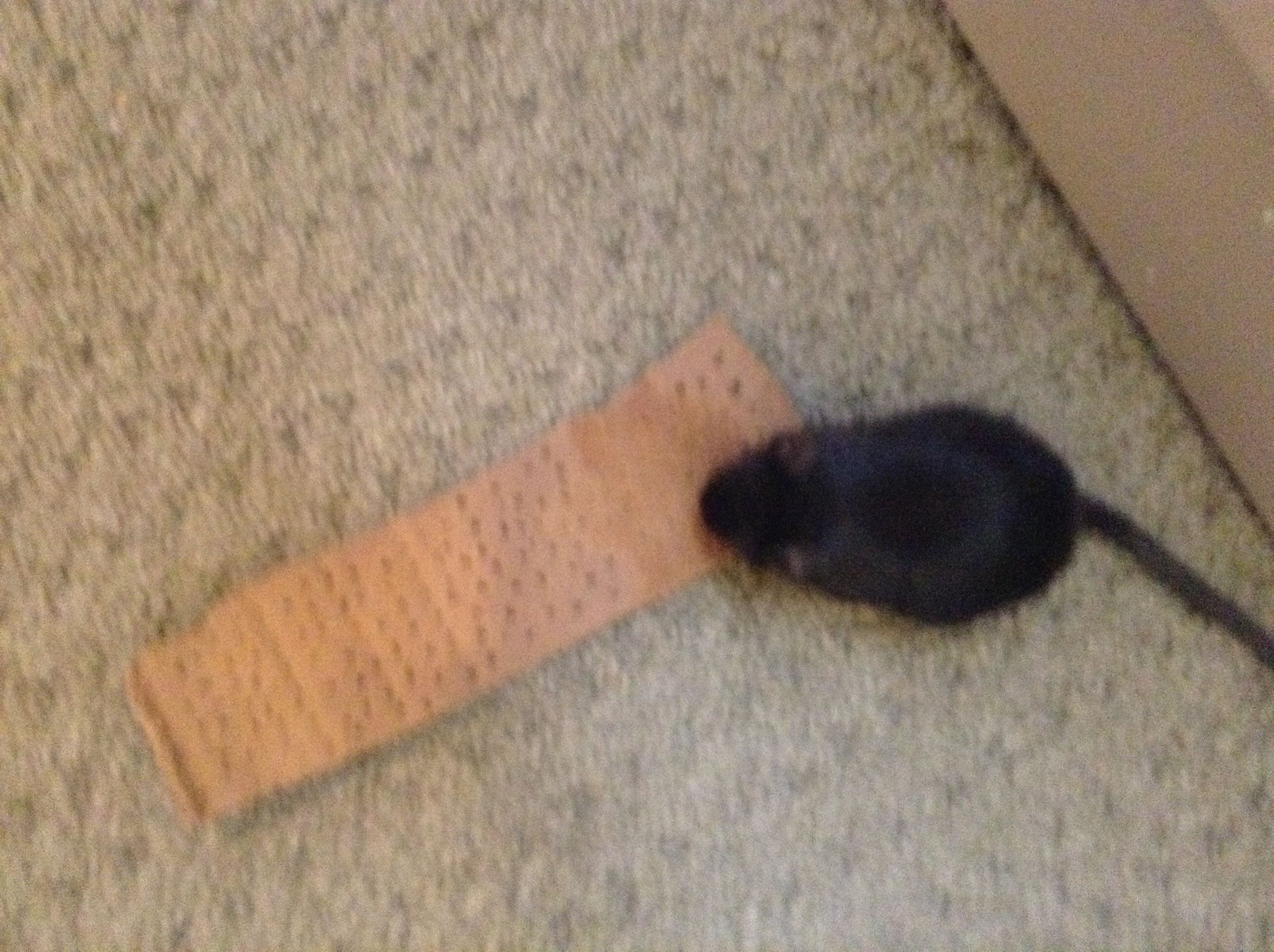 Gerbil Litter Bed : 4 Steps - Instructables